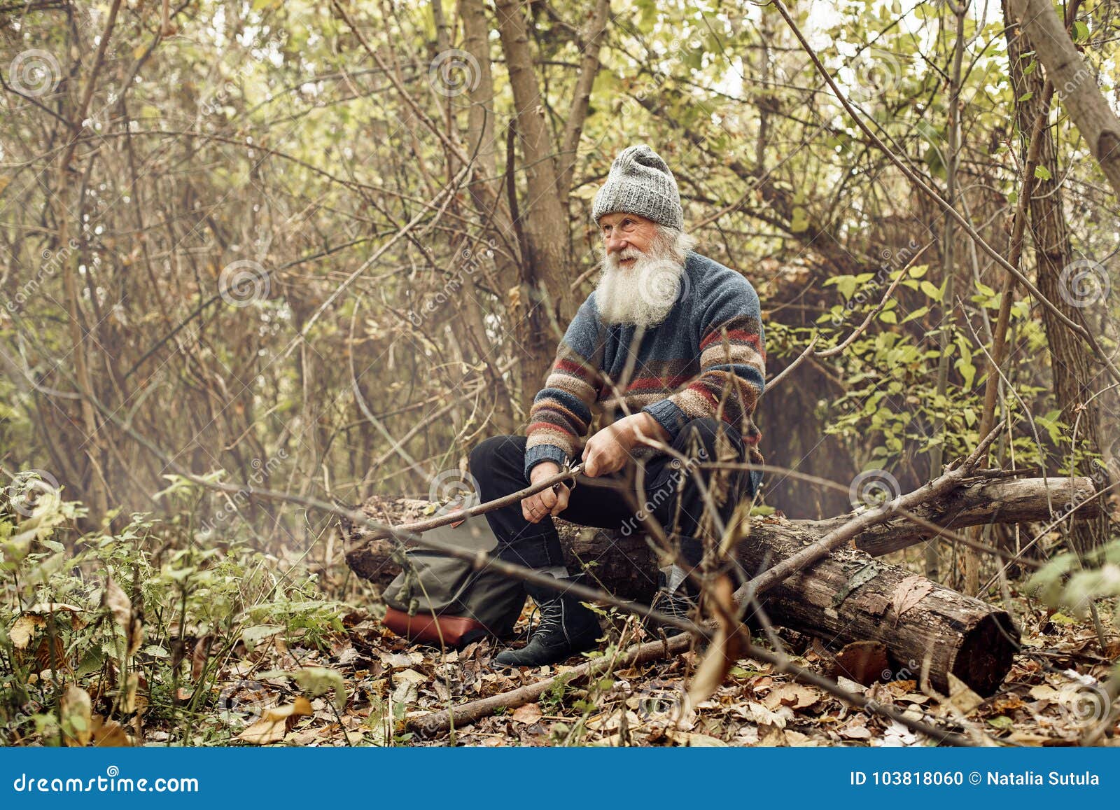 Old Man with Beard in Forest Stock Photo - Image of healthy, beautiful ...