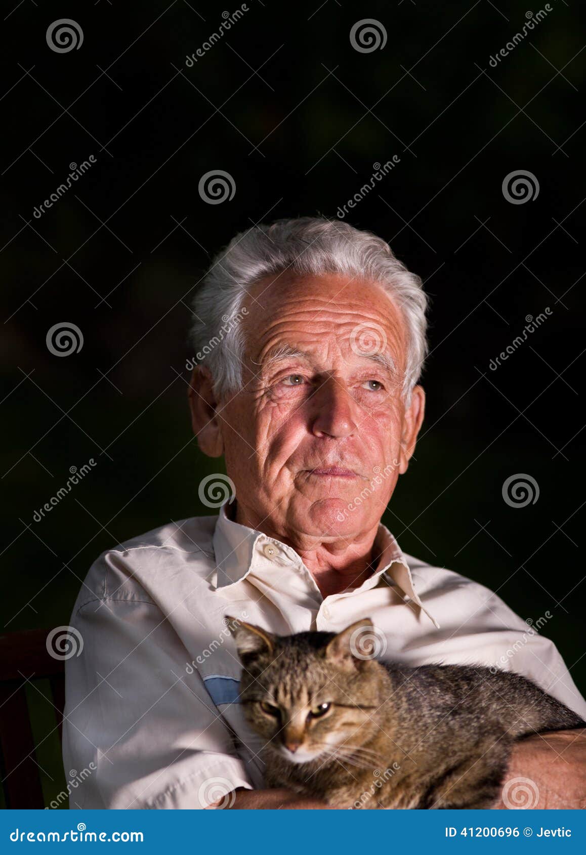 Old man with cat stock photo. Image of grandfather, grandparent - 41200696