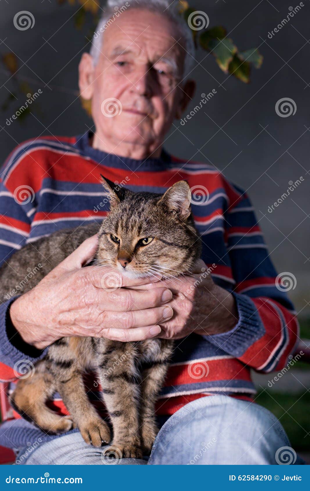 Old man with cat stock photo. Image of elderly, lifestyle - 62584290