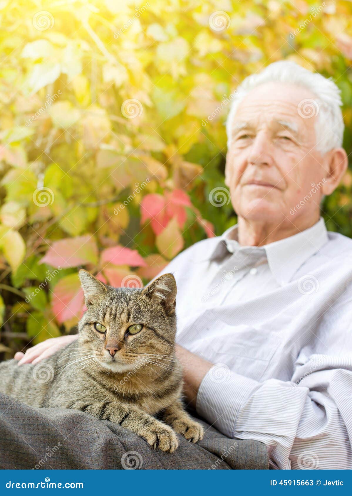 Old man with cat stock image. Image of male, animal, blur - 45915663