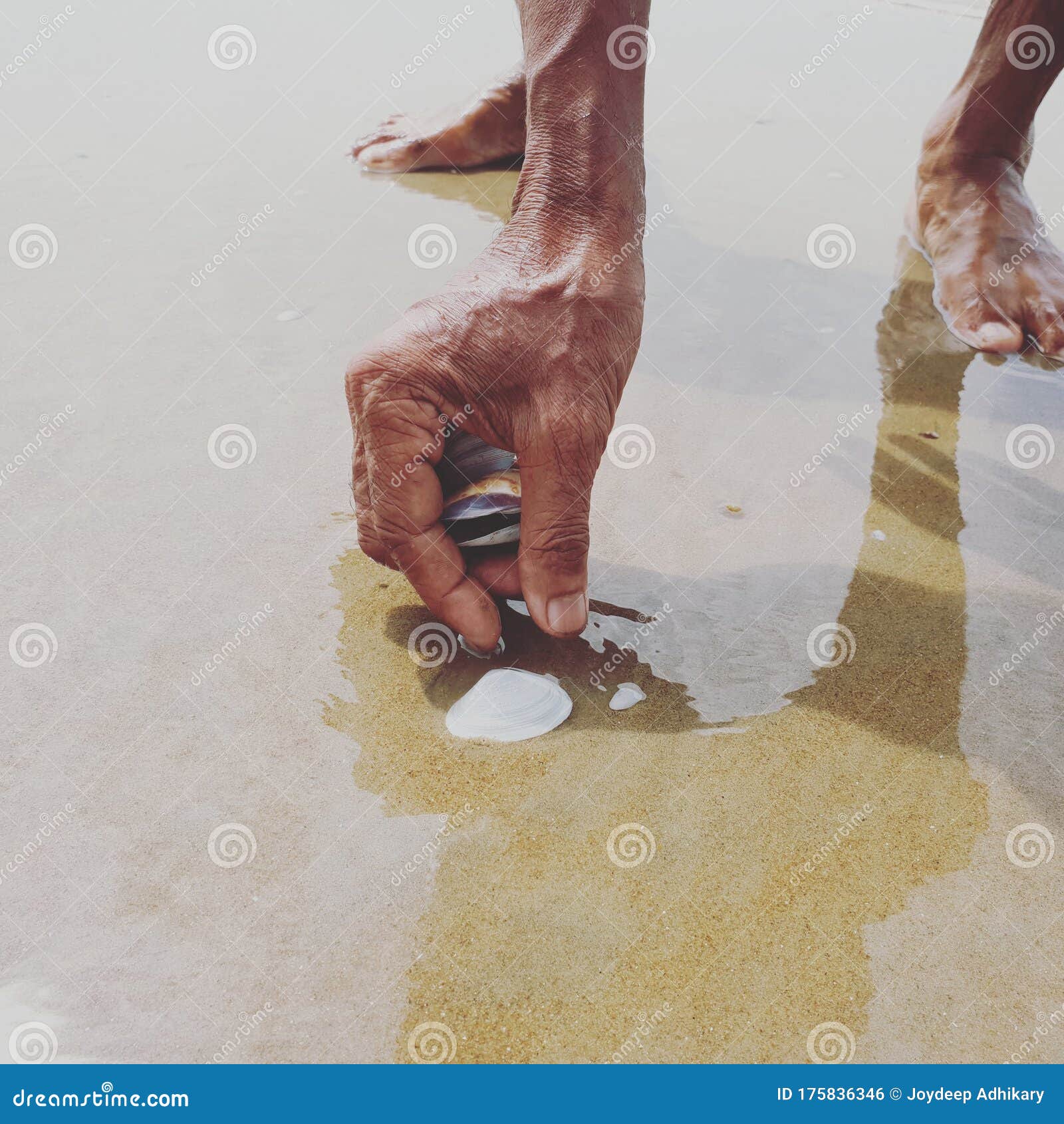 Old Man Collecting Shells on Digha Beach Stock Photo - Image of digha ...