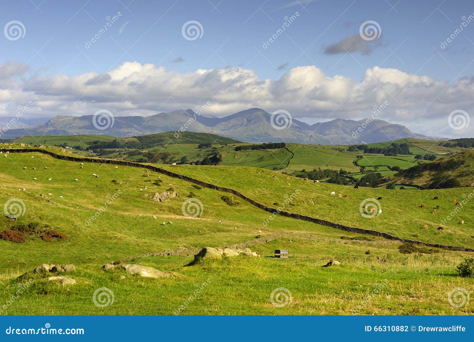 The Old Man of Coniston stock photo. Image of mountains - 66310882