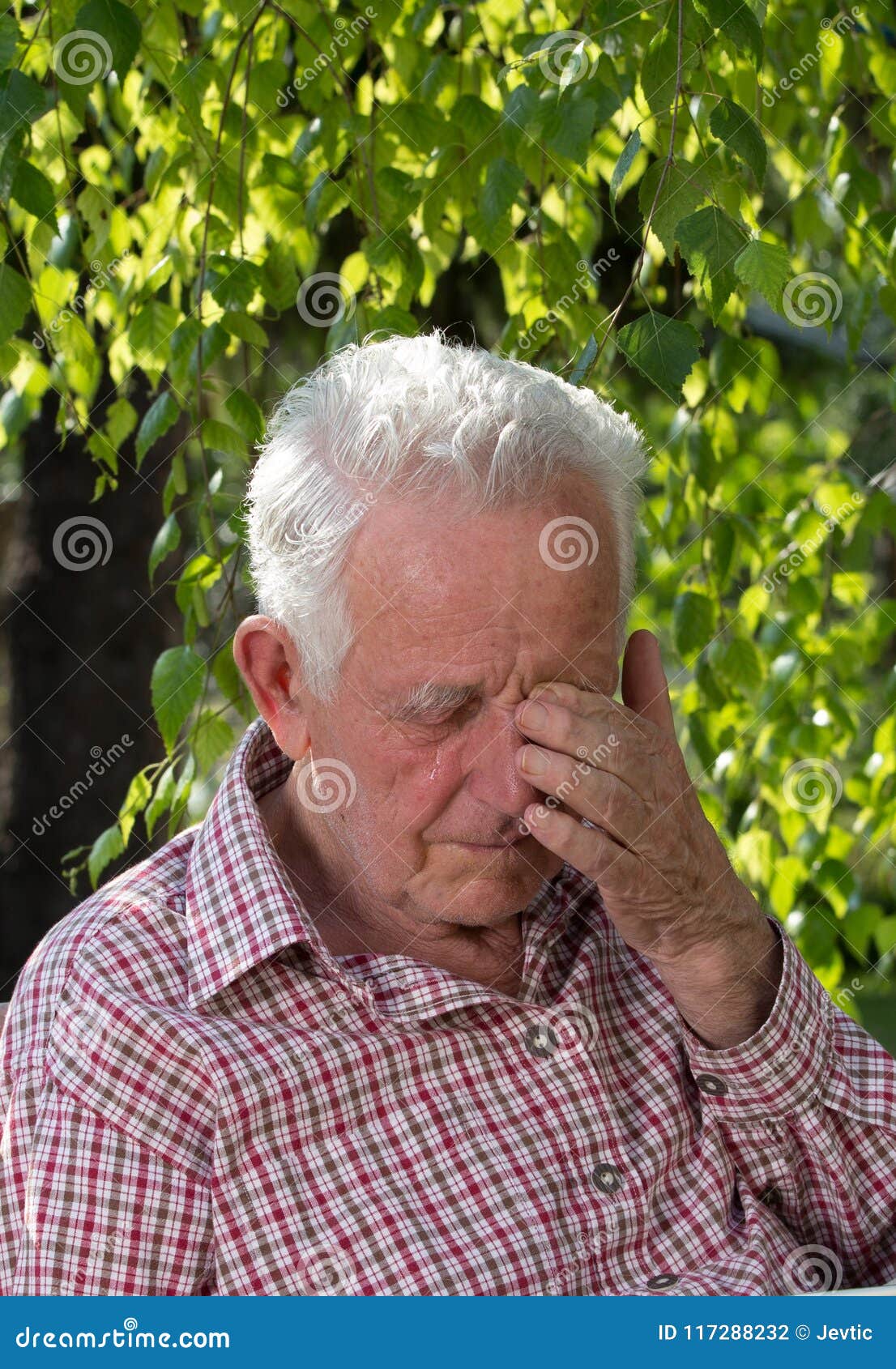Old man crying in park stock photo. Image of adult, elder - 117288232