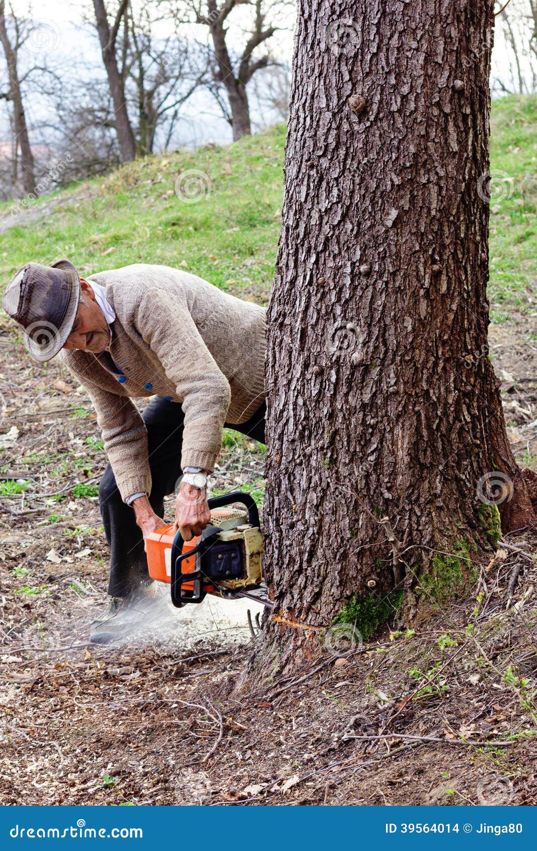 Old Man Cutting Trees Using an Electrical Chainsaw Stock Photo - Image ...