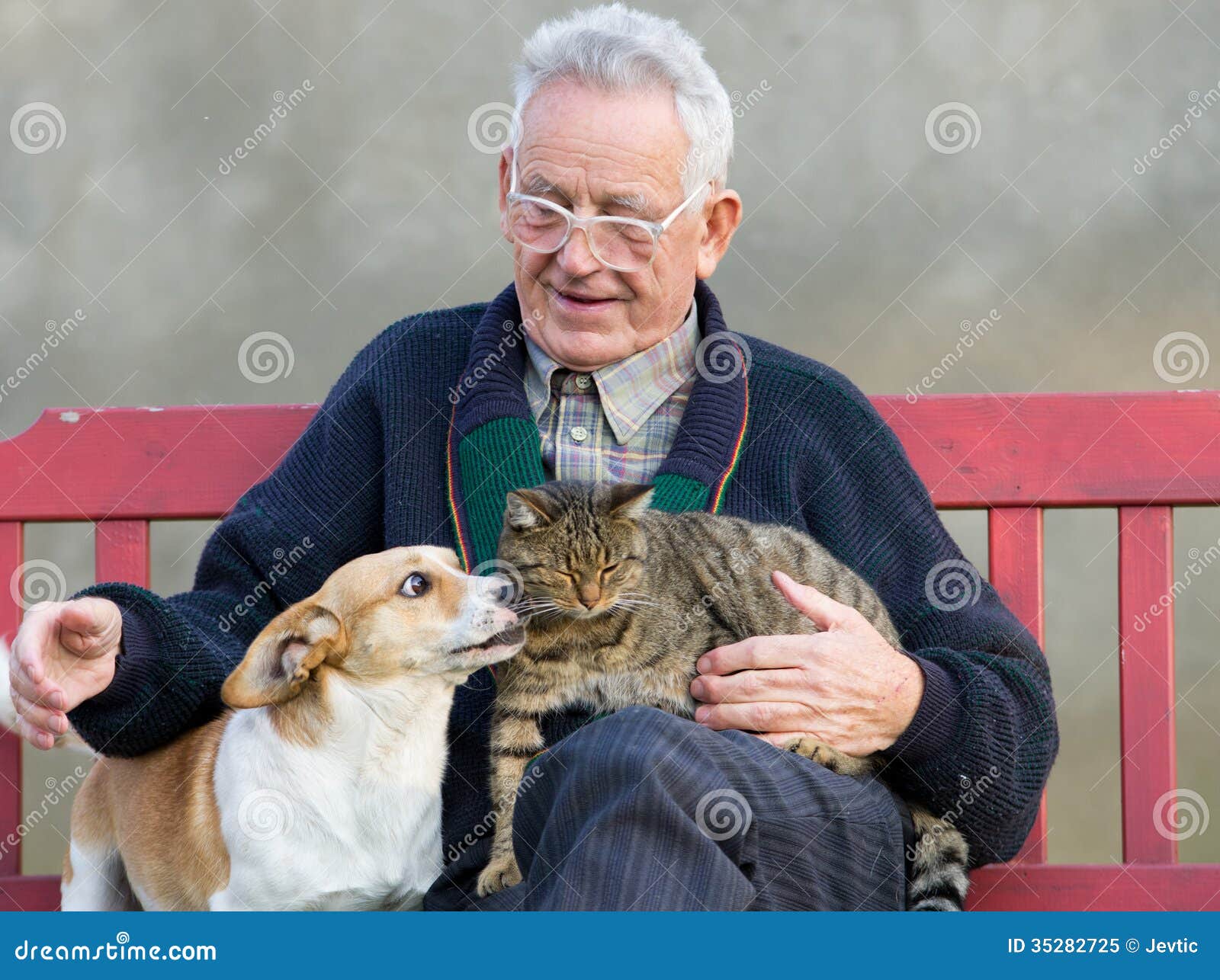 Old man with dog and cat stock image. Image of grandfather - 35282725