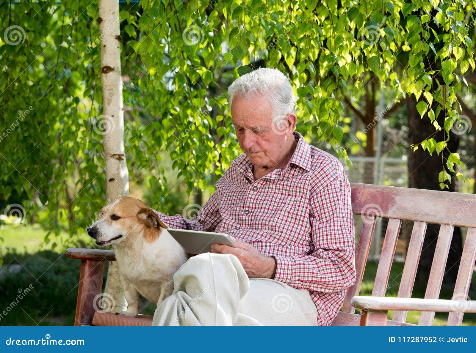 Old Man with Dog and Tablet in Garden Stock Photo - Image of connection ...
