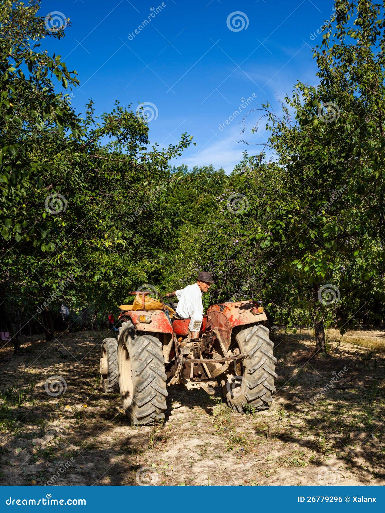 Old Man Driving in Reverse His Tractor Stock Photo - Image of machine ...