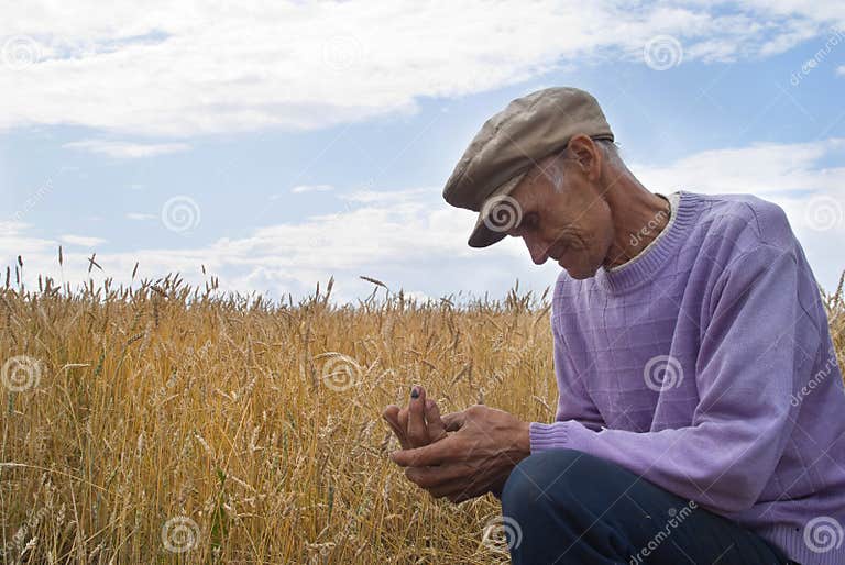 The old man about field stock photo. Image of farming - 11182382