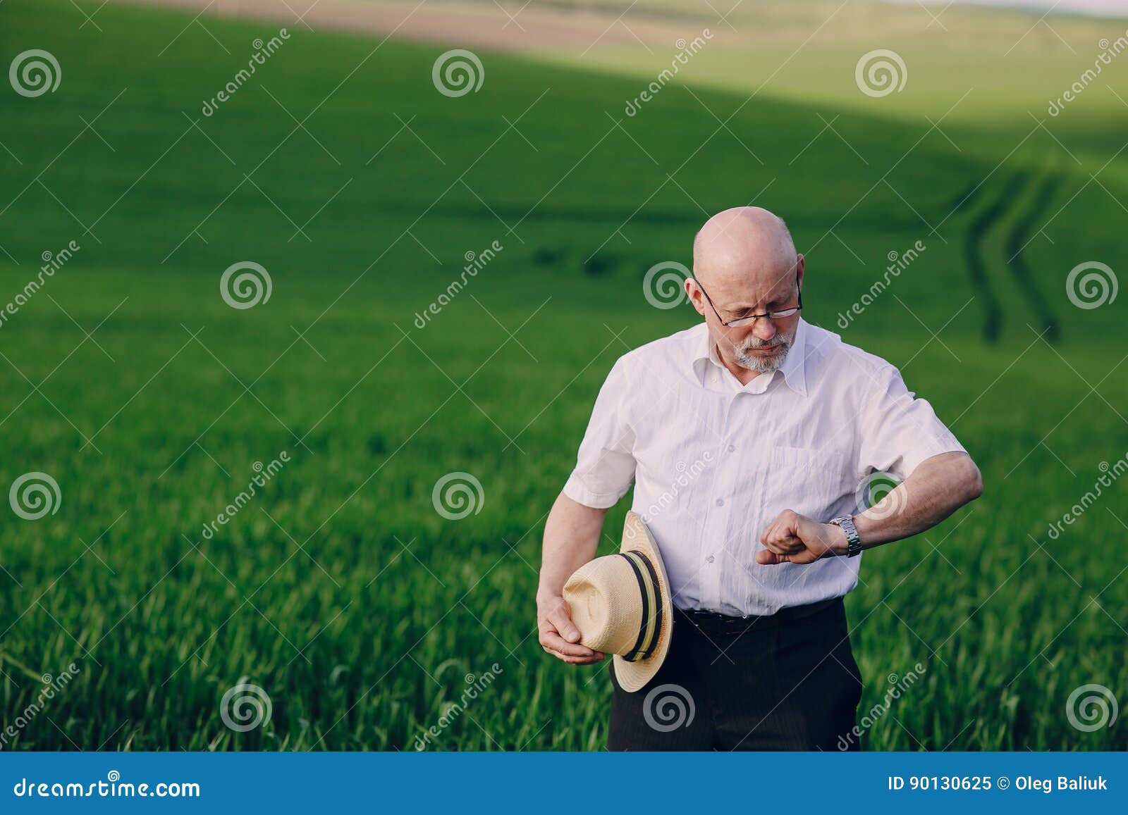 Old man in field stock image. Image of outdoor, casual - 90130625