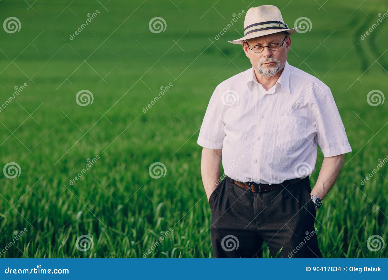Old man in field stock photo. Image of grass, professional - 90417834