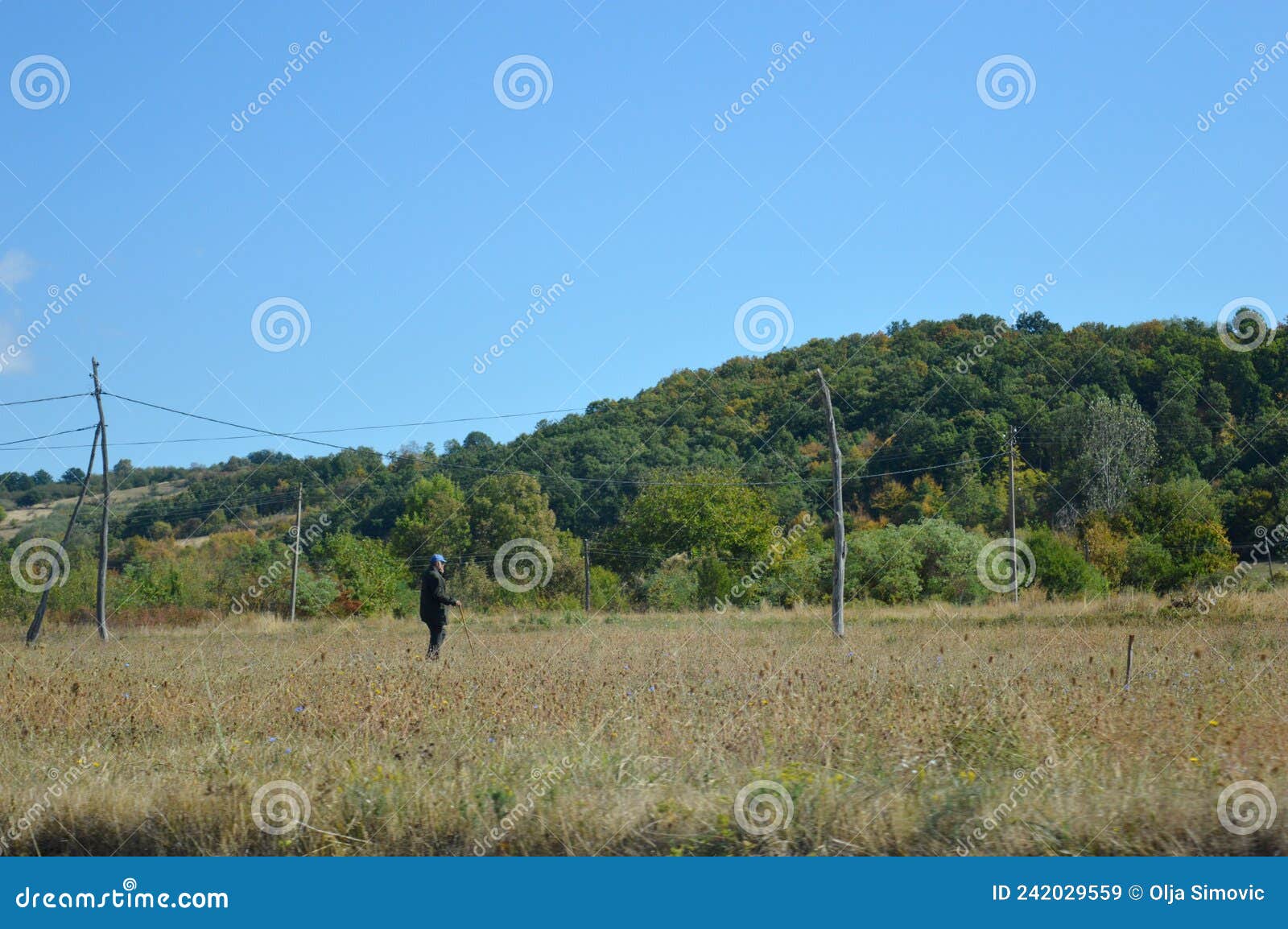 Old man in a field stock image. Image of grass, hill - 242029559