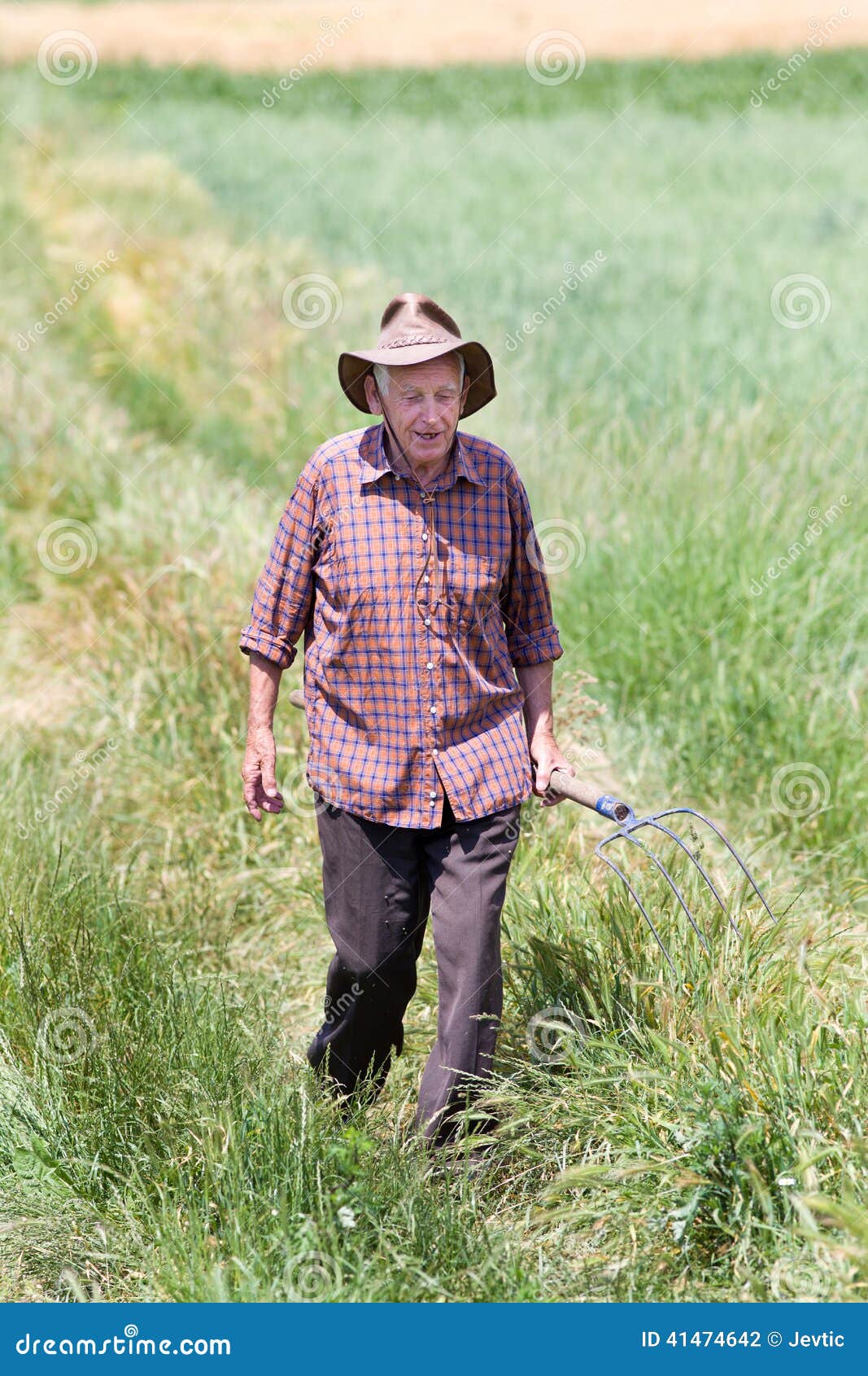 Old man in field stock photo. Image of crop, landscape - 41474642