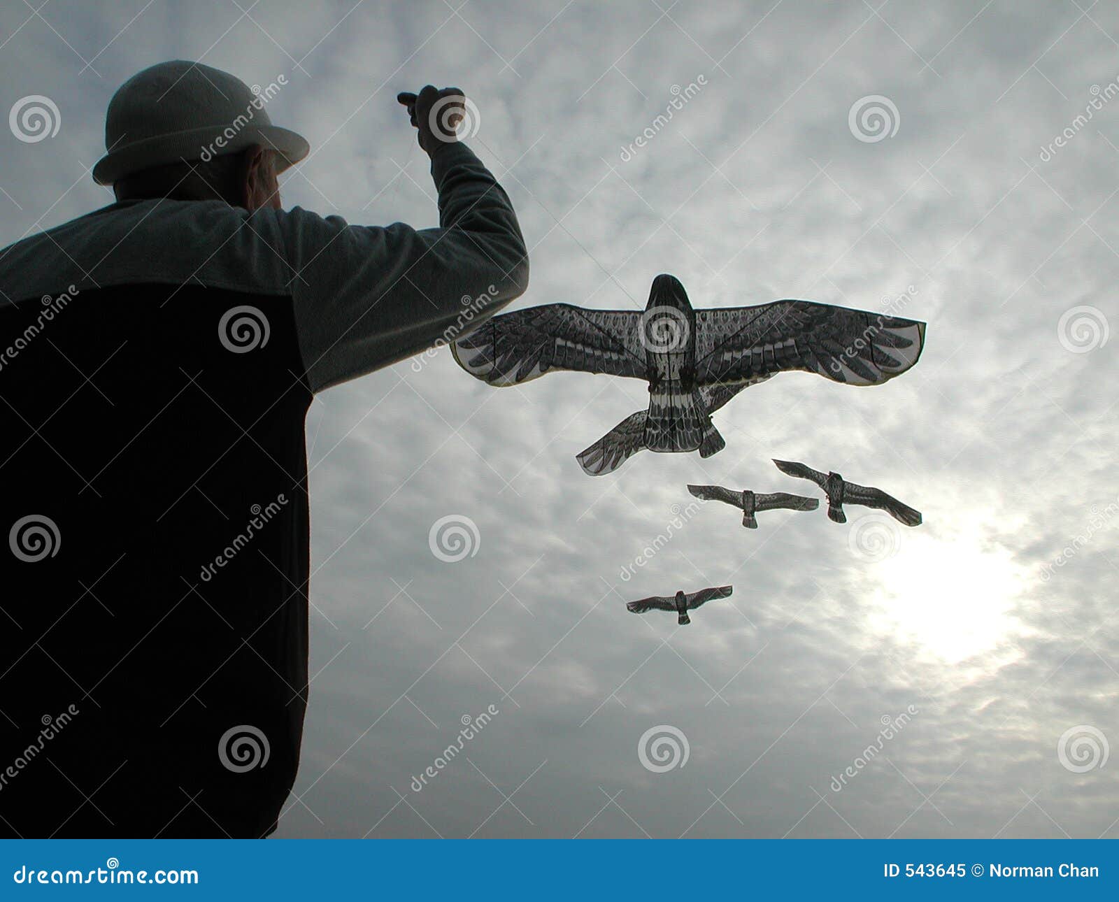Old man fly a kite stock image. Image of senior, cloud - 543645