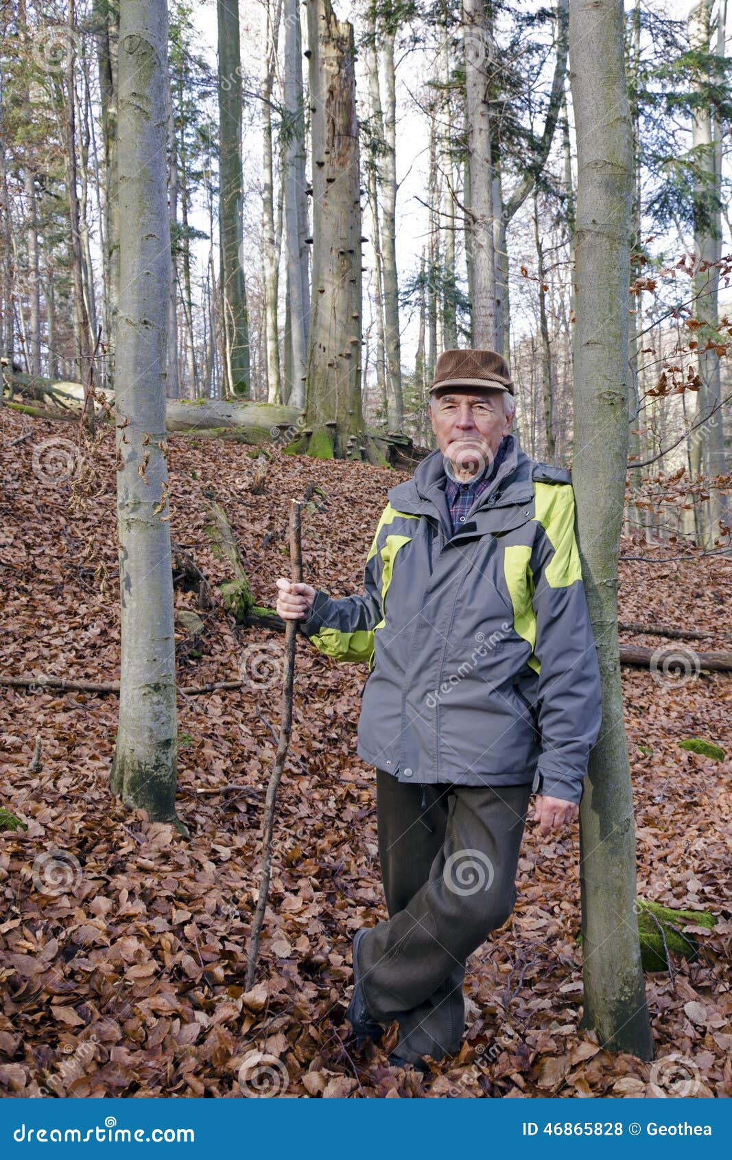The old man in the forest stock photo. Image of older - 46865828