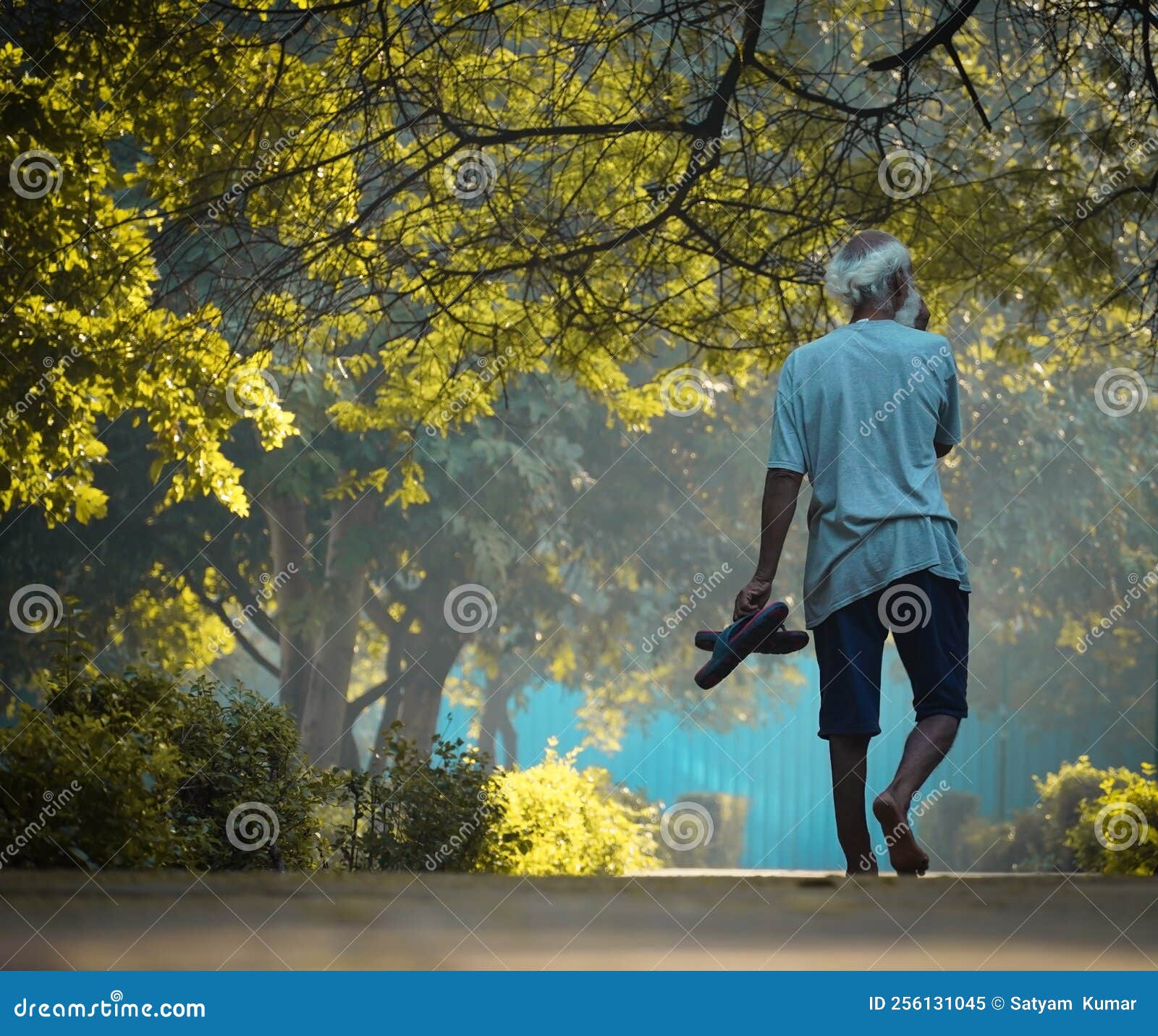Old Man Goes Alone through the Park Editorial Image - Image of alone ... Old Man Goes Alone through the Park Editorial Image - Image of alone ...