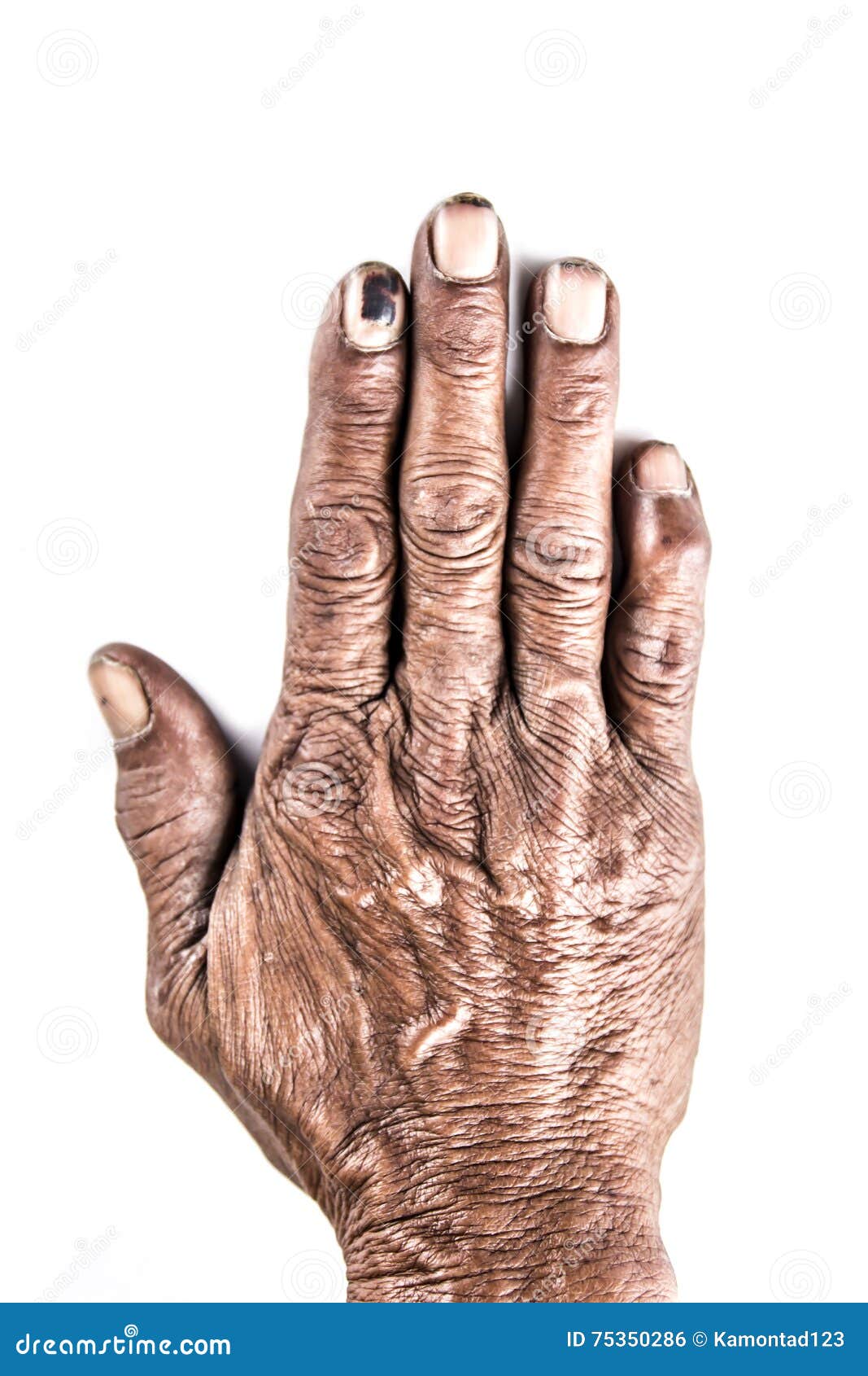 Photography Old Man Hand