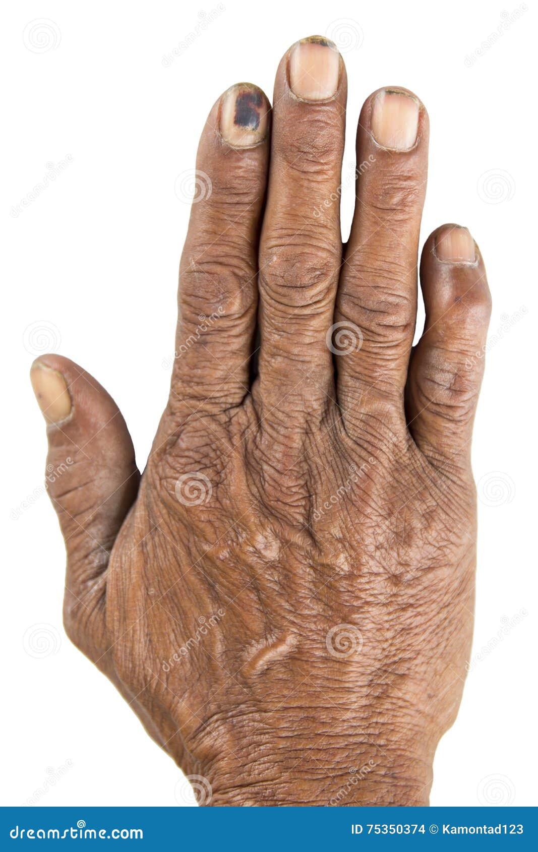 Photography Old Man Hand