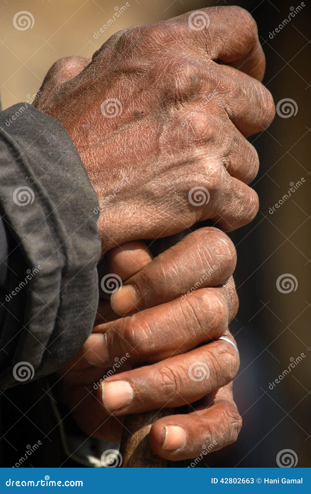 Old man hands stock image. Image of vains, dirty, stick - 42802663