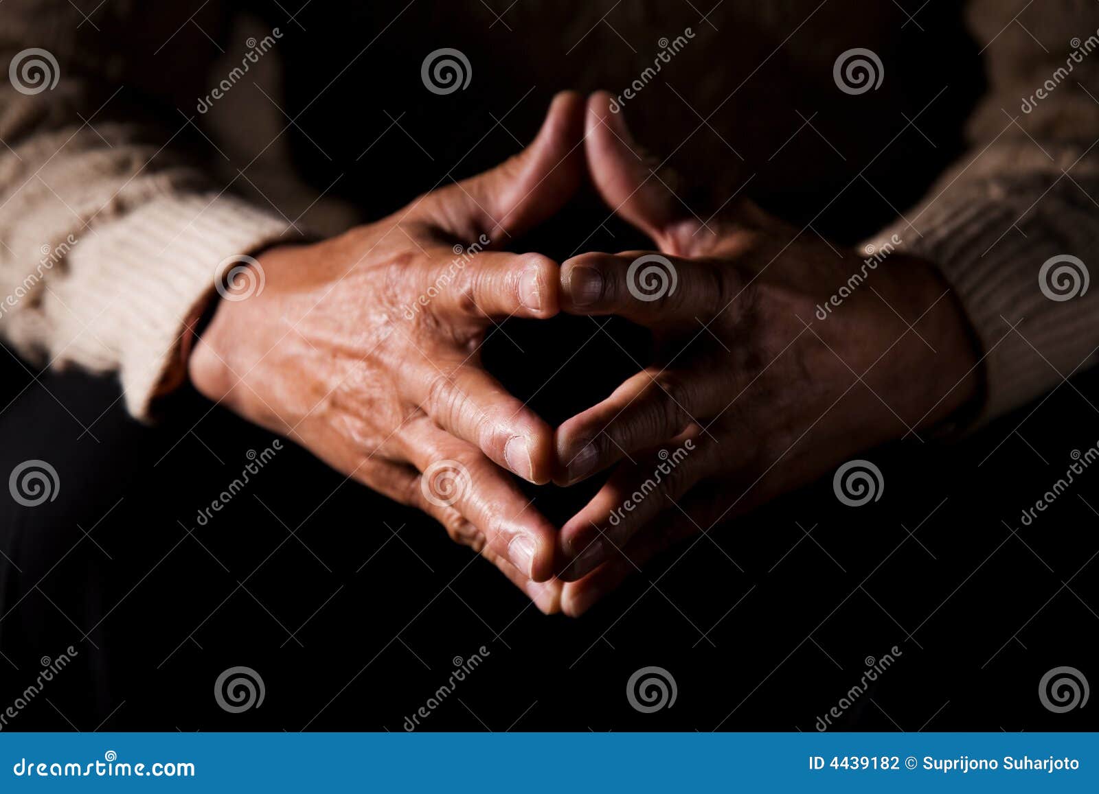 Old man hands stock photo. Image of sweater, people, adult - 4439182