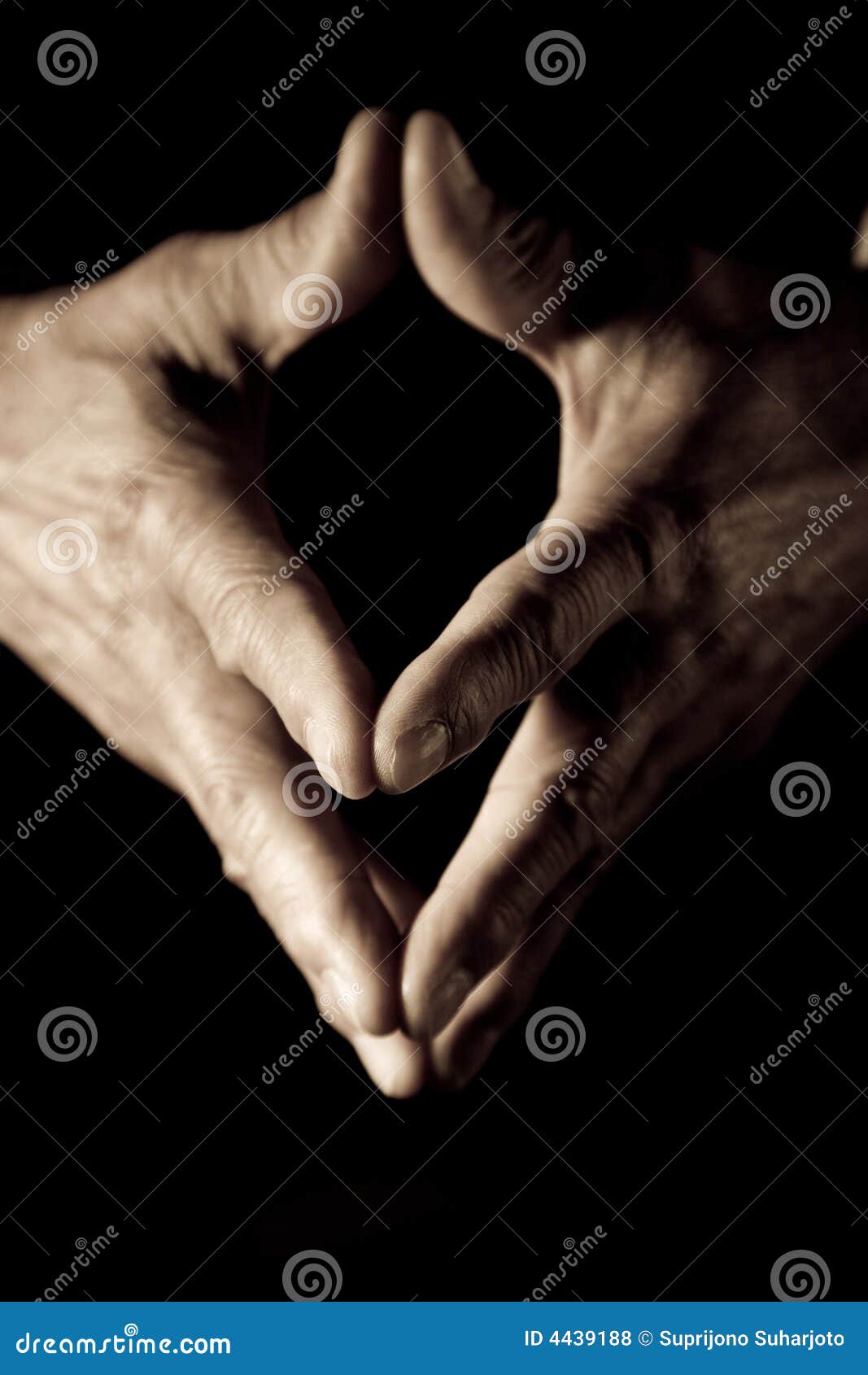 Old man hands stock photo. Image of retro, vintage, body - 4439188