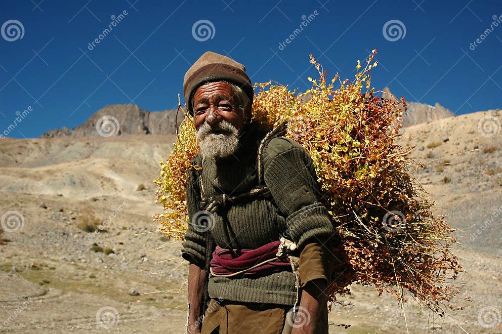 The Old Man in the Himalayas Editorial Photo - Image of alps, camping ...