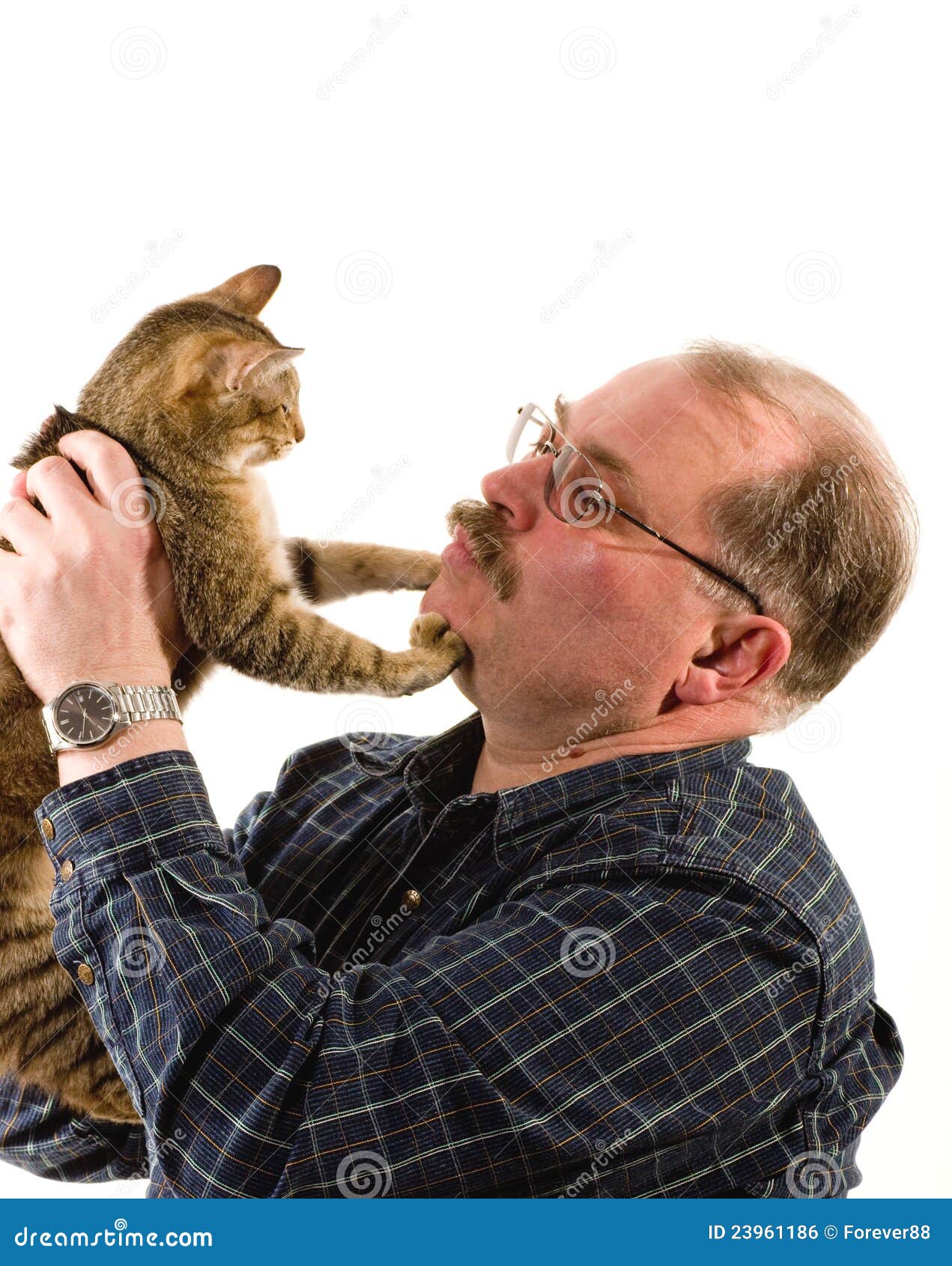 Old man with his cat stock photo. Image of pedigree, hairy - 23961186