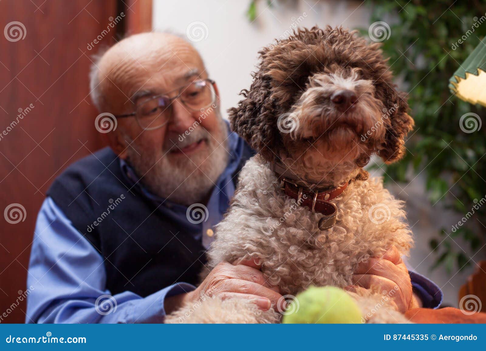 Old man with his dog stock image. Image of happiness - 87445335