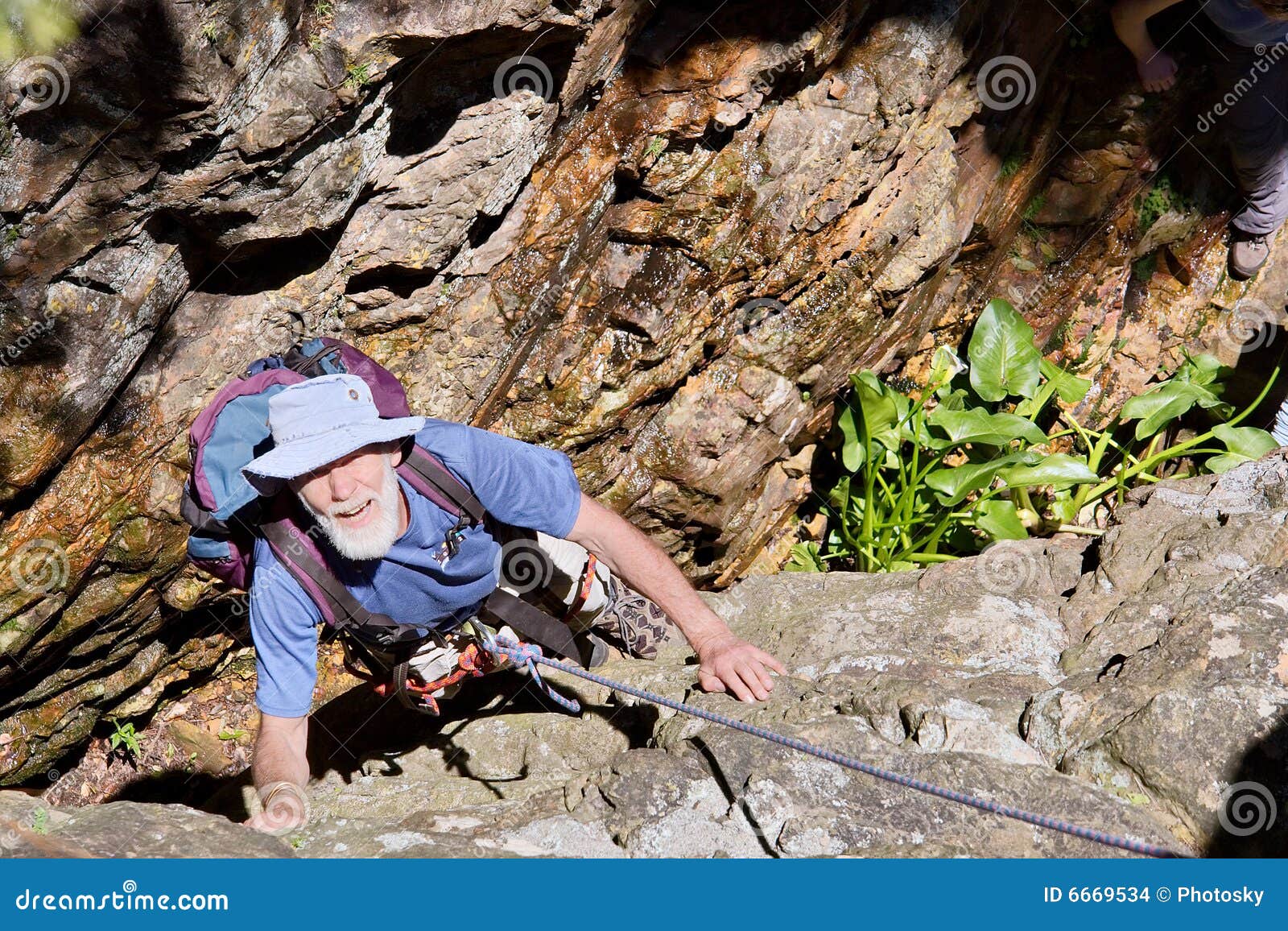 Old Man Looks Up while Climbing Stock Photo - Image of healthy, nature ...