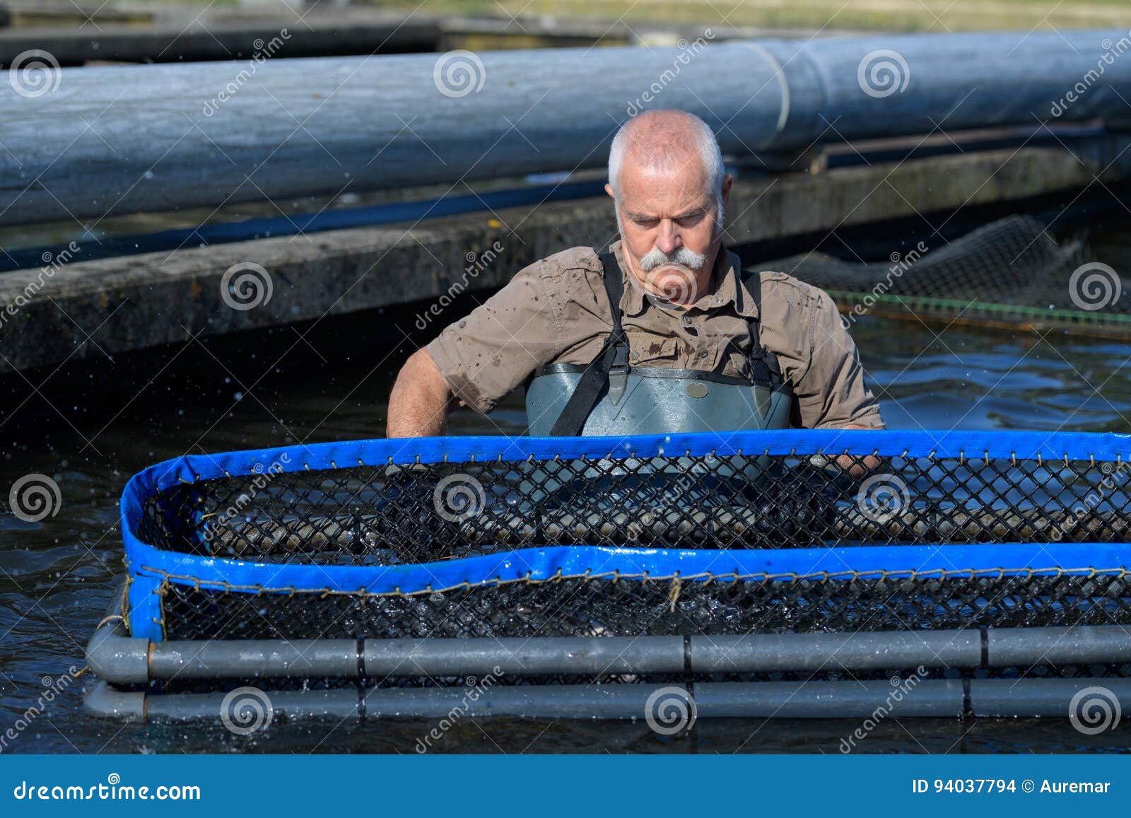 Old Man with Mustache Cares Fish Stock Photo - Image of fishing, island ...