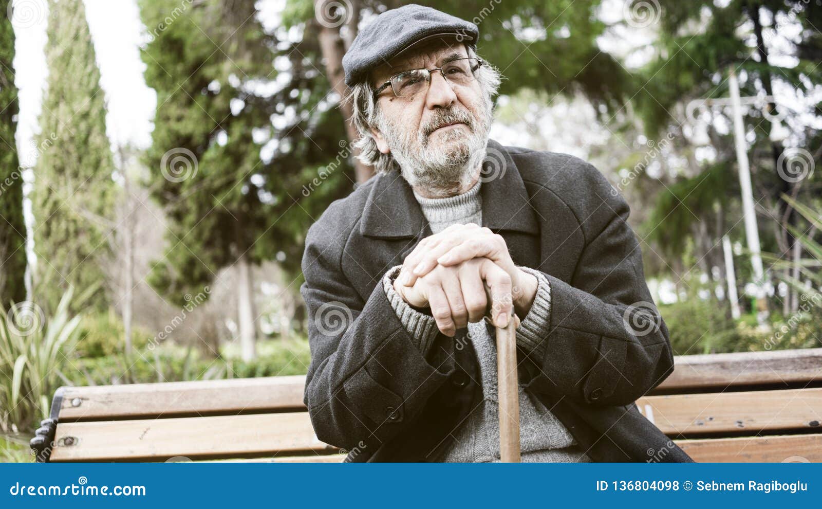 Old man in the park stock photo. Image of portrait, retirement - 136804098