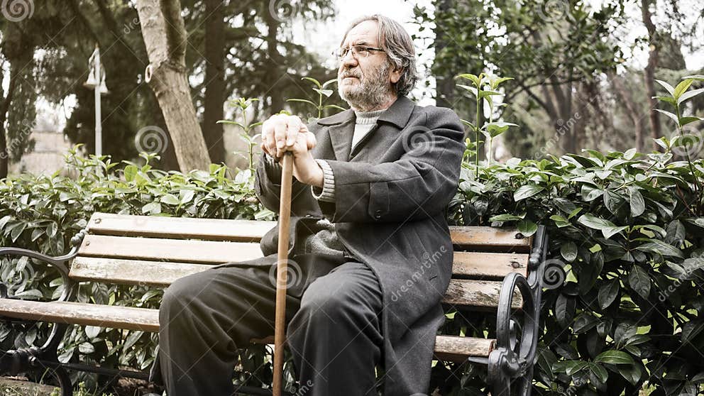 Old man in the park stock photo. Image of bench, park - 136804130