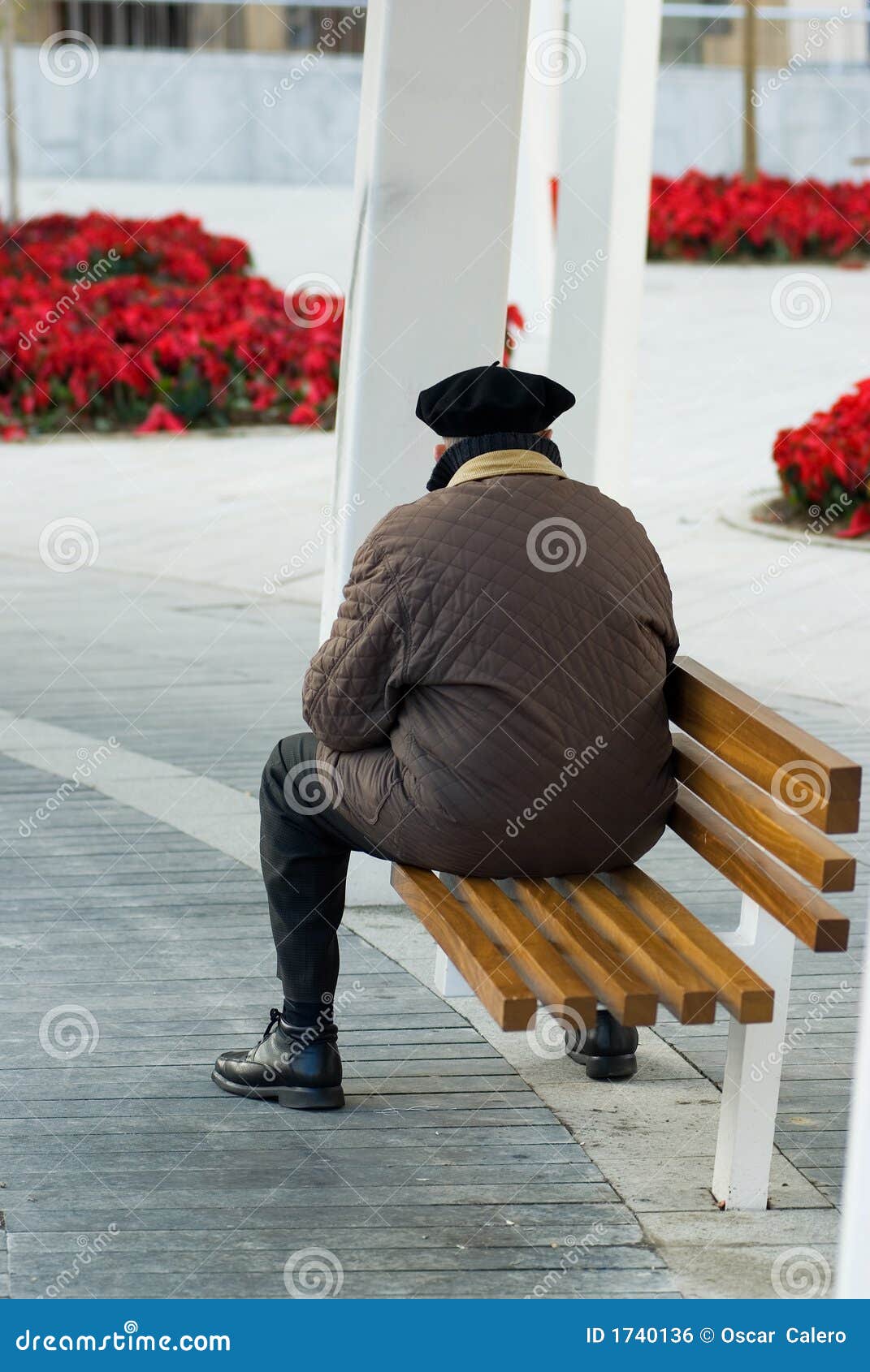 Old Man on Park Bench stock photo. Image of elderly, contemplate - 1740136