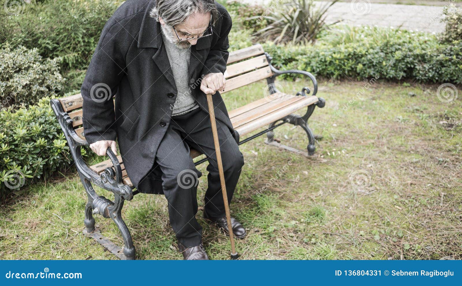 Old man in the park stock image. Image of mature, autumn - 136804331