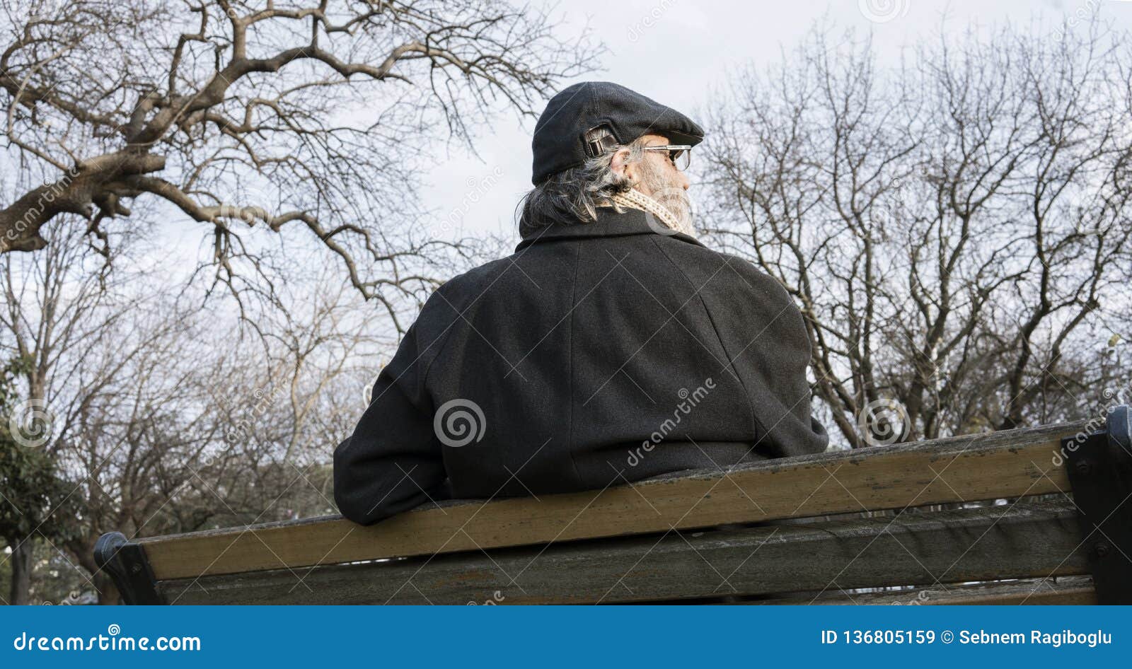 Old man in the park stock image. Image of portrait, male - 136805159