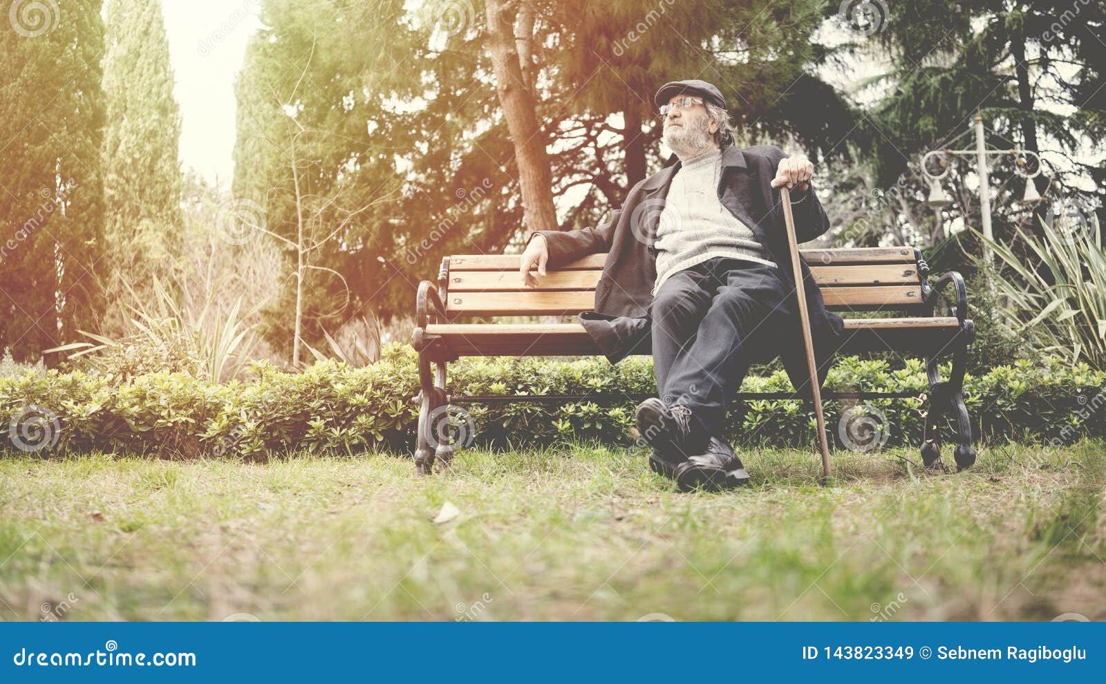 Old man in the park stock image. Image of urban, nature - 143823349