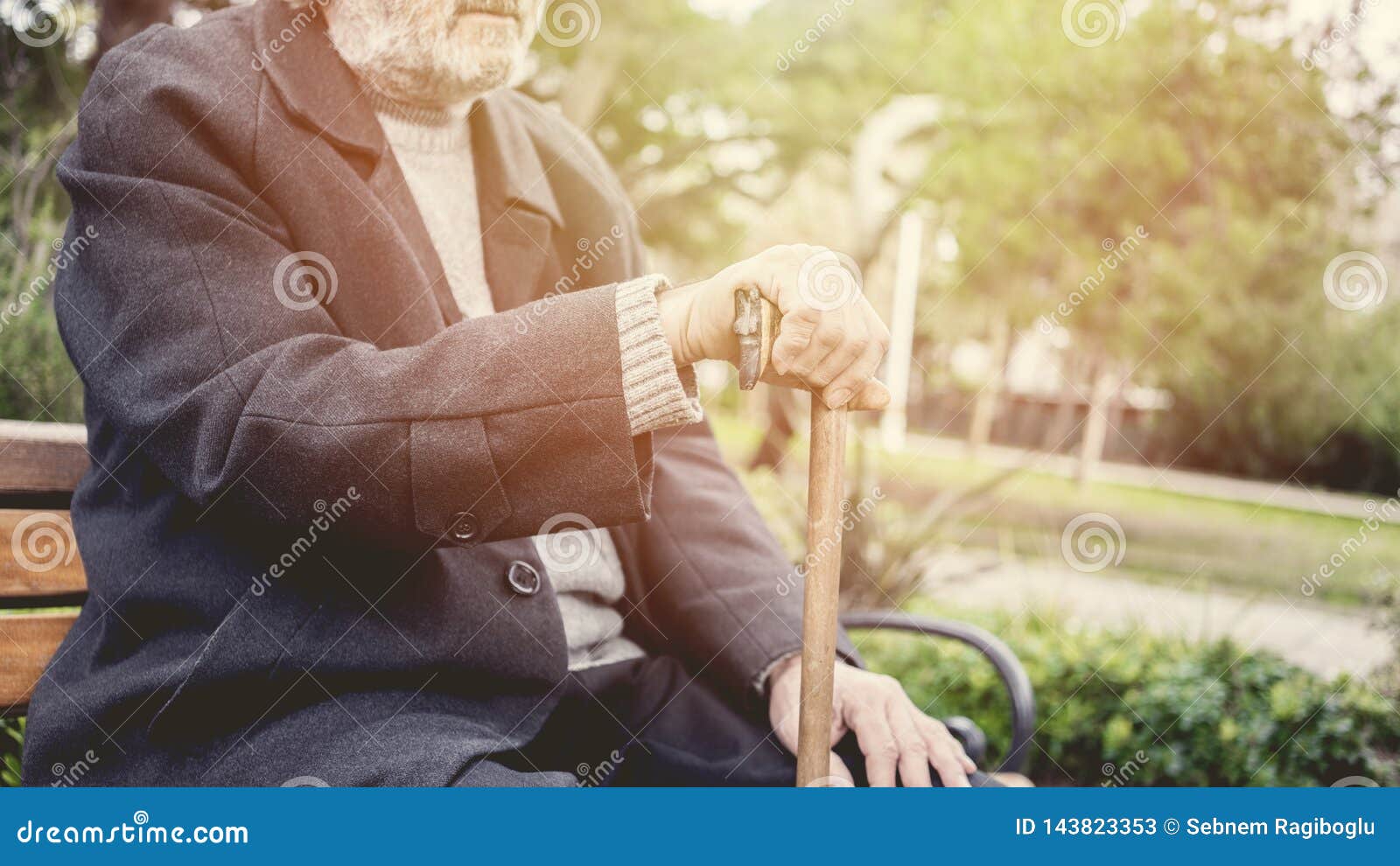 Old man in the park stock image. Image of retired, elderly - 143823353