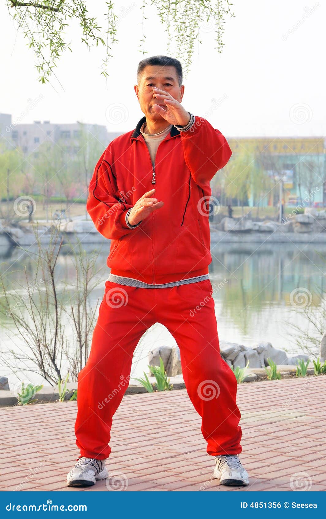 Old man play Taiji boxing stock photo. Image of active - 4851356