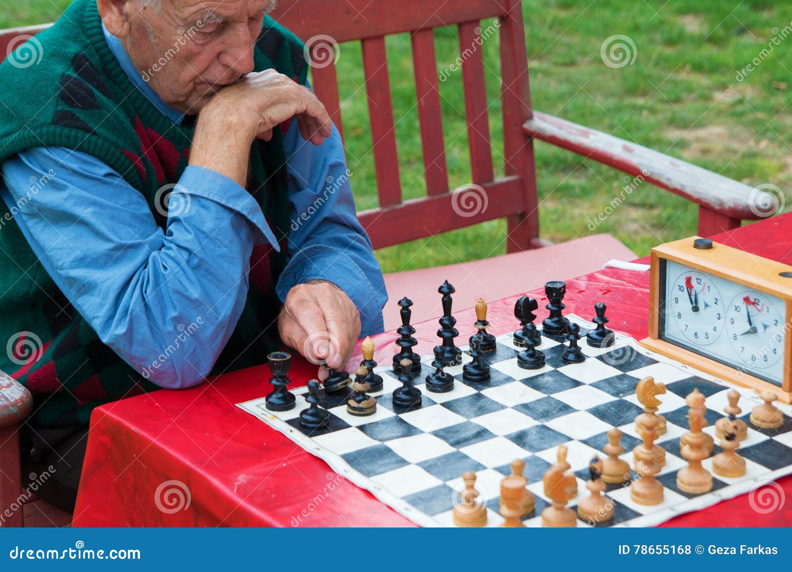 Old Man Playing Chess in the Garden Stock Photo - Image of leisure ...