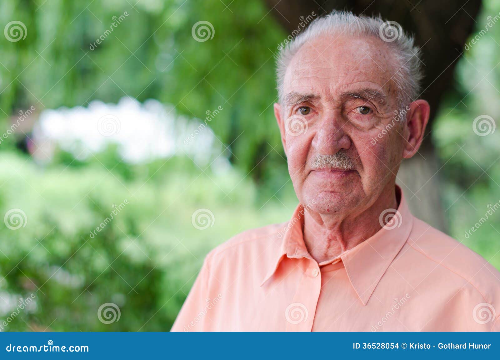 Old man stock photo. Image of male, aged, years, caucasian - 36528054
