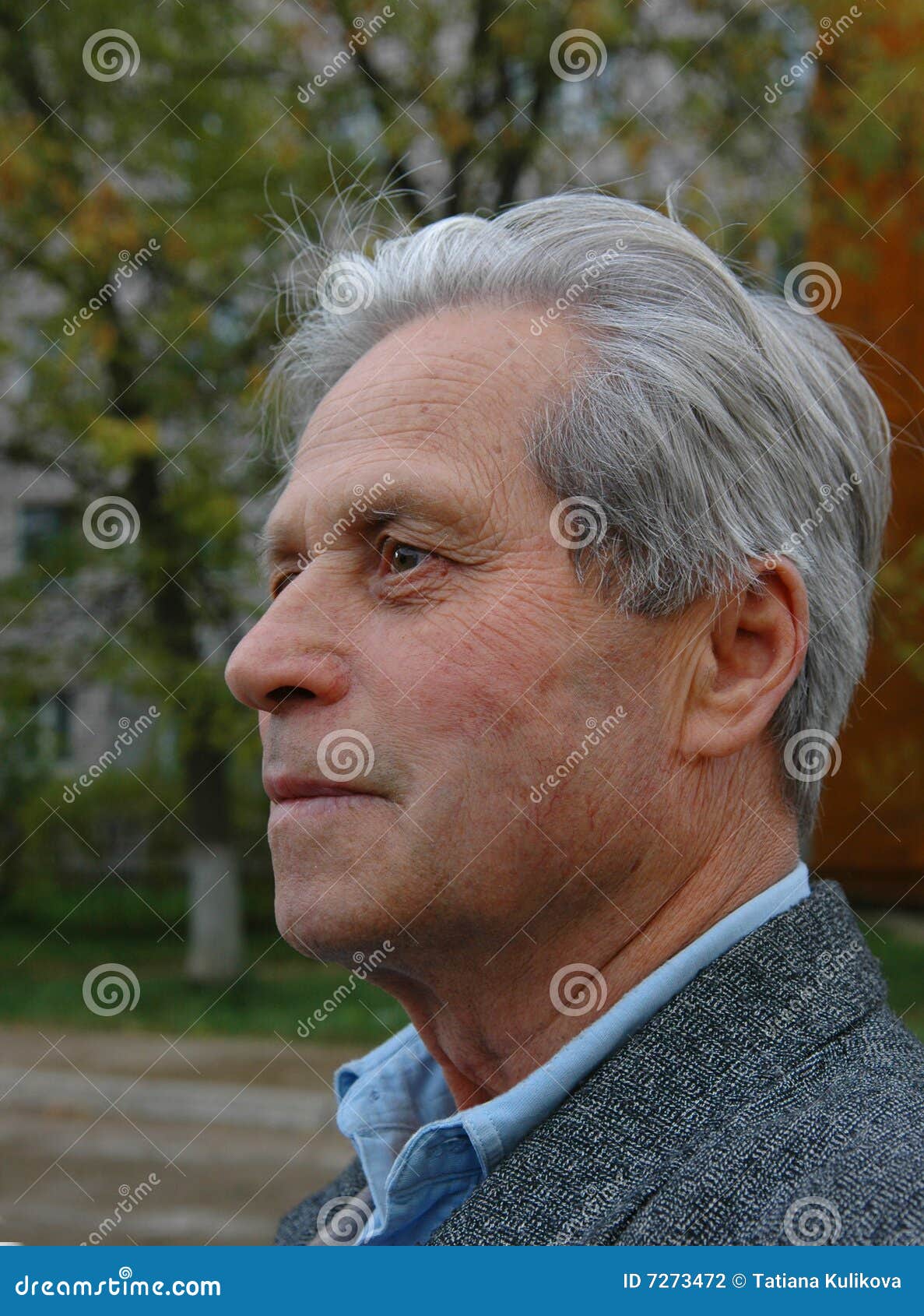 Old man. Portrait. Wise stock photo. Image of enjoyment - 7273472