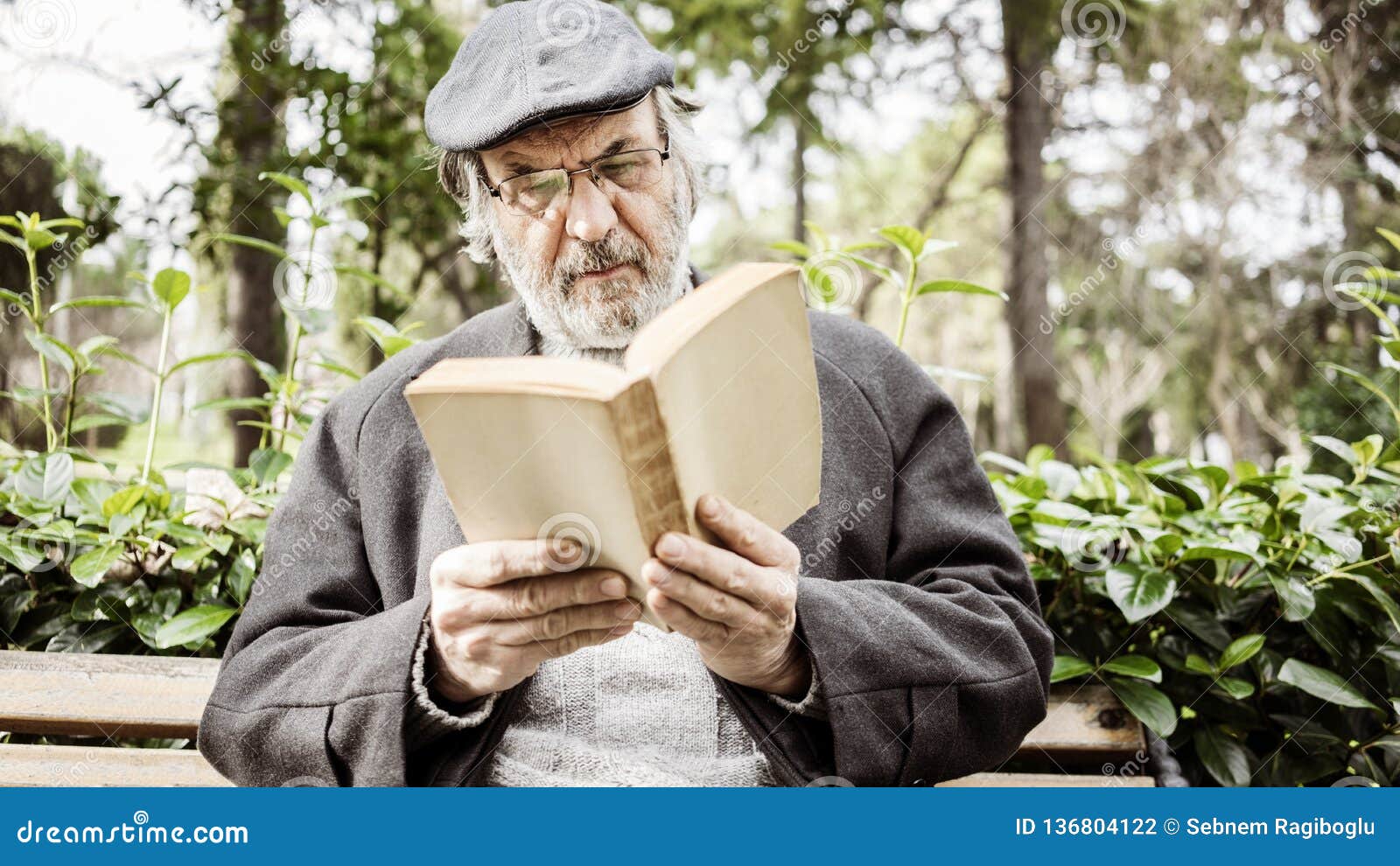 Old Man Reading Book in the Park Stock Photo - Image of green, mature ...