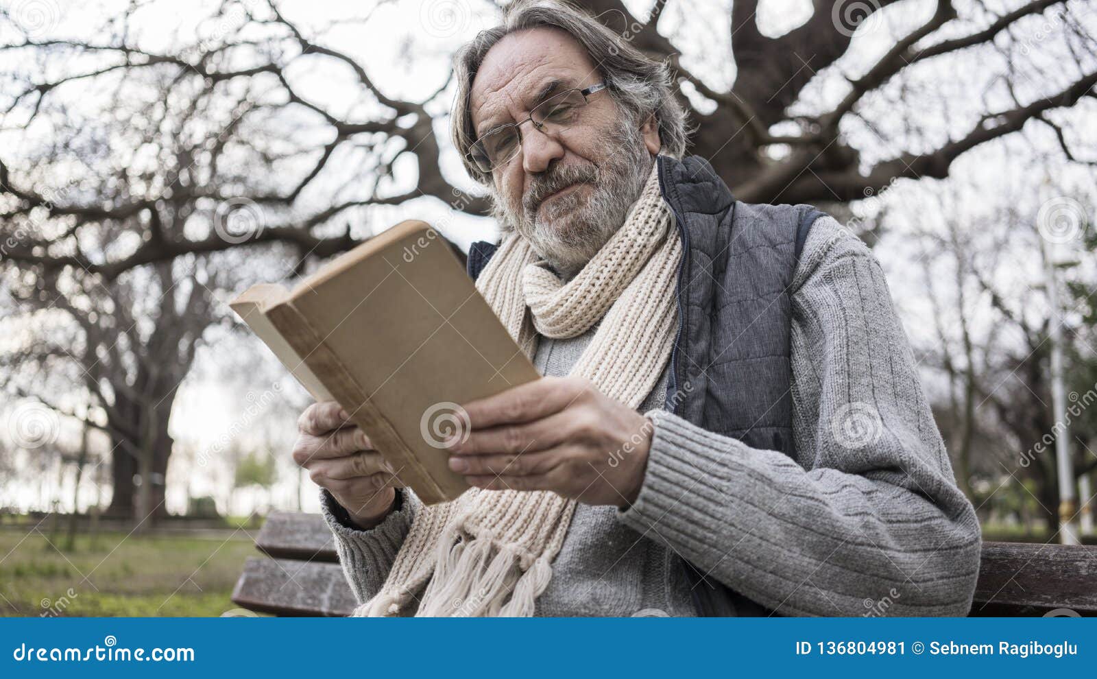 Old Man Reading Book in the Park Stock Image - Image of spring, book ...