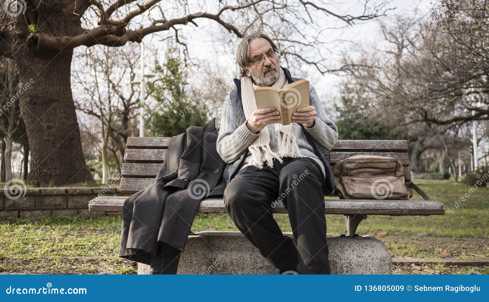 Old Man Reading Book in the Park Stock Image - Image of urban, outside ...