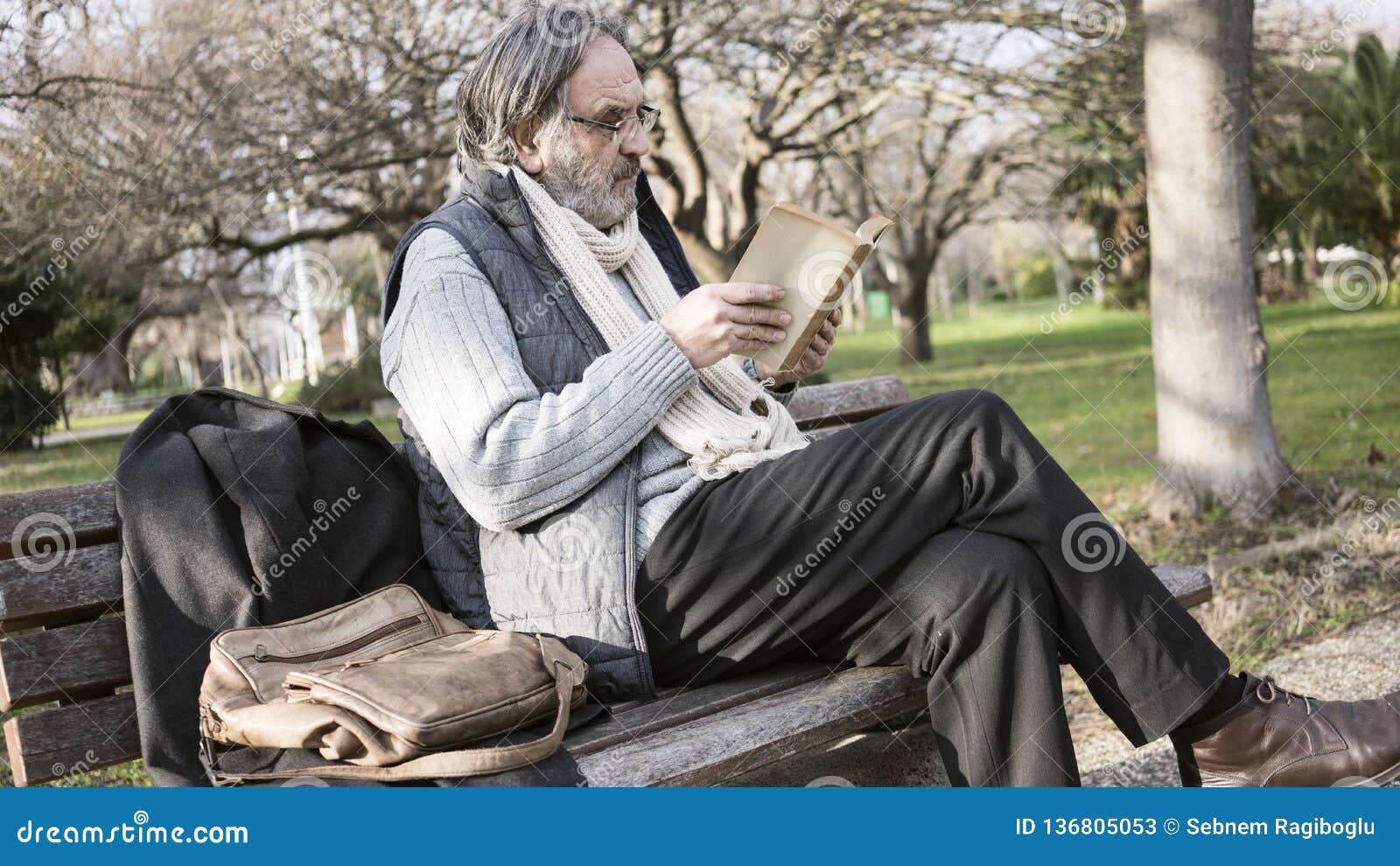 Old Man Reading Book in the Park Stock Image - Image of outdoors ...