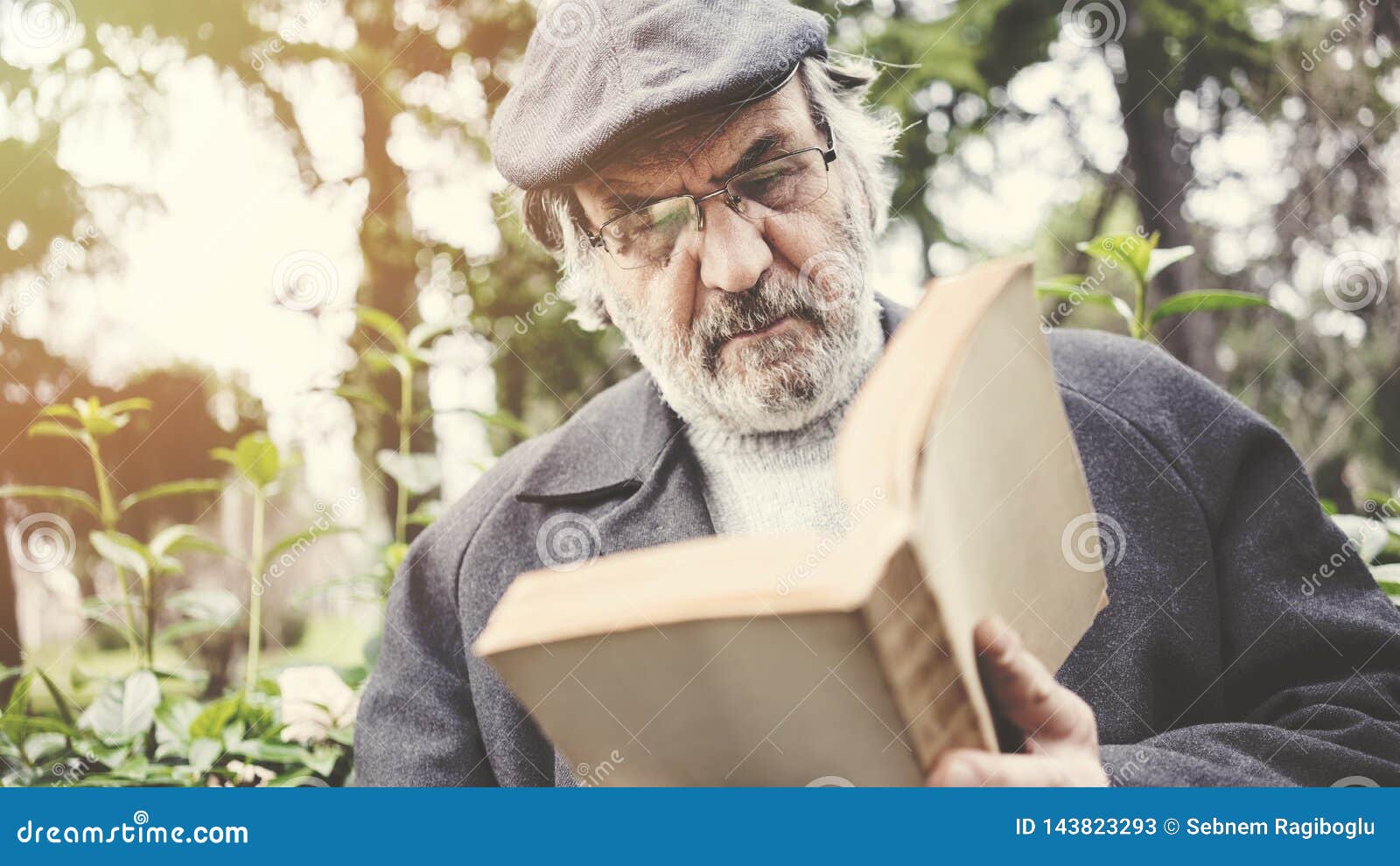 Old Man Reading Book in the Park Stock Image - Image of seated, alone ...