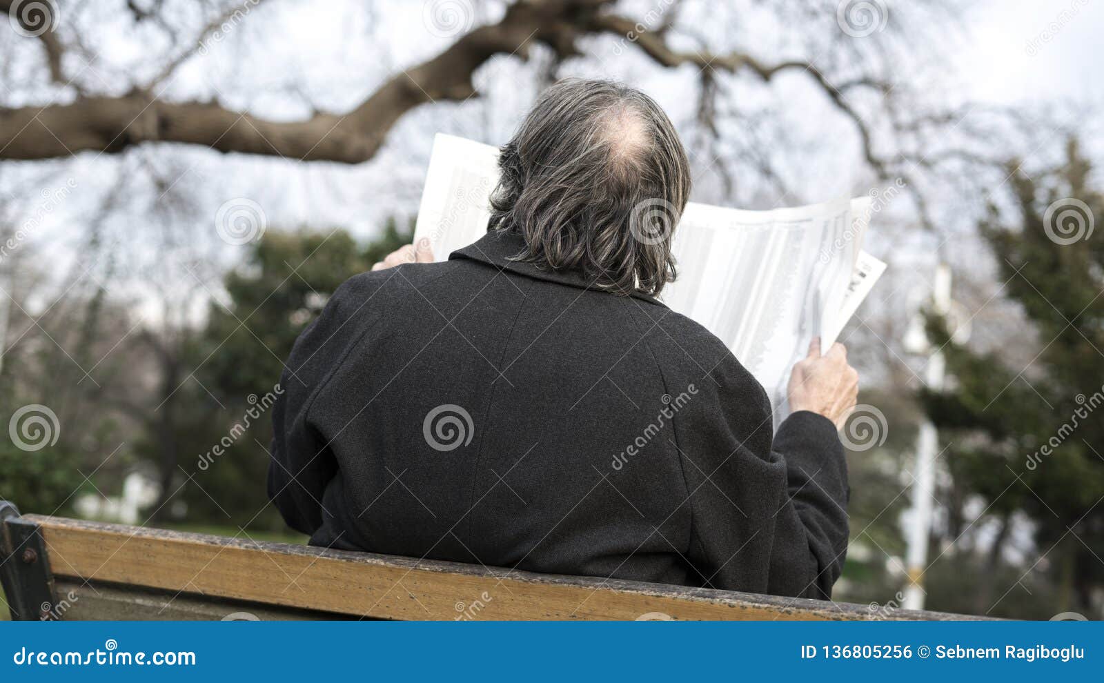 Old Man Reading Newspaper in the Park Stock Photo - Image of newspaper ...