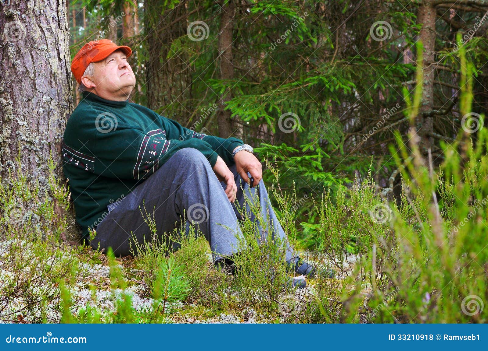 Old Man Resting in a Forest Stock Photo - Image of portrait, retired ...