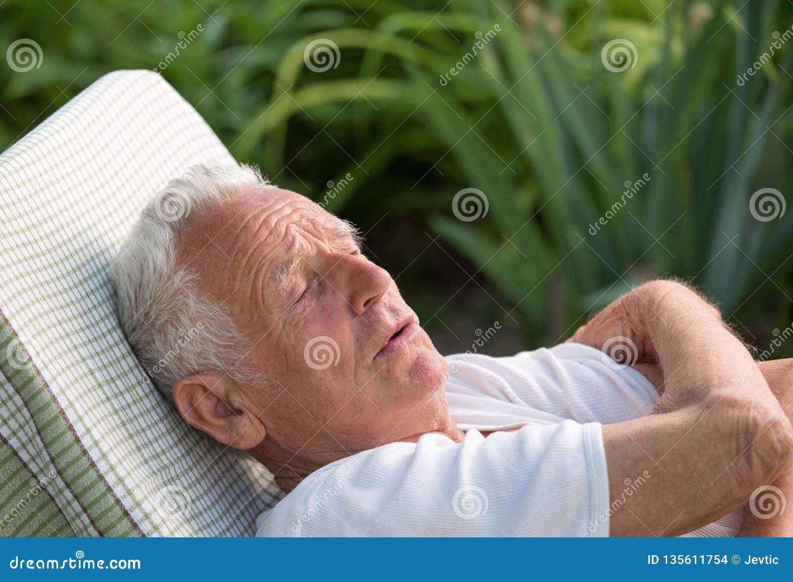 Old man resting in garden stock photo. Image of older - 135611754