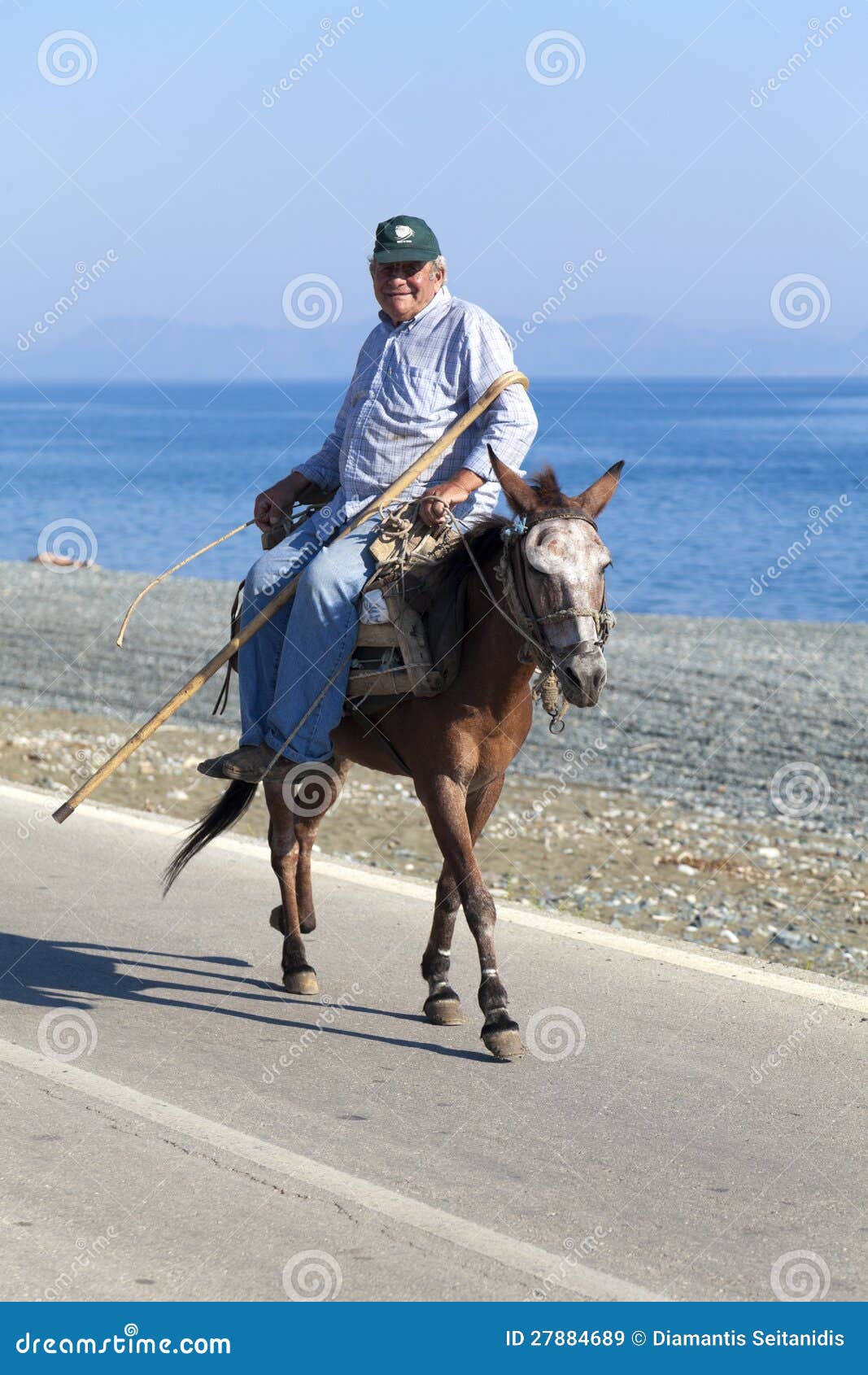 Old man rides a mule editorial stock image. Image of nature - 27884689