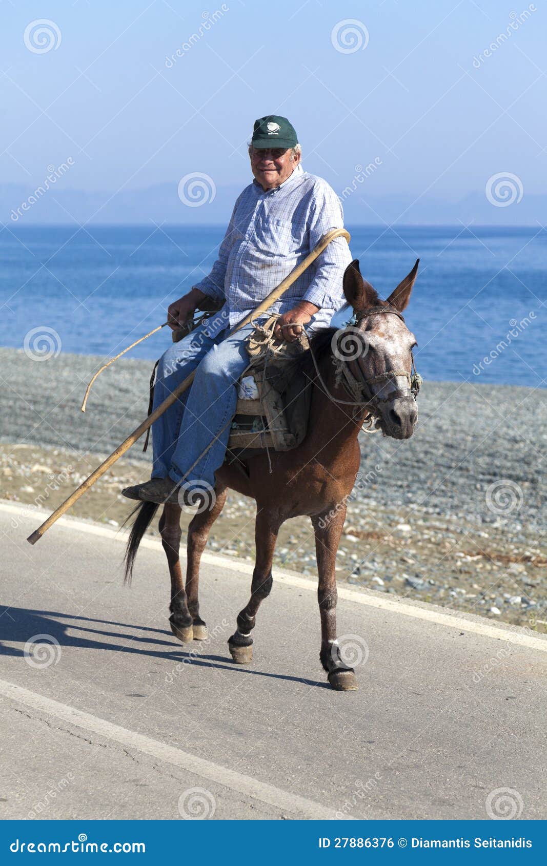 Mule Riding On A Track In Toubkal National Park At High Atlas Mountains ...